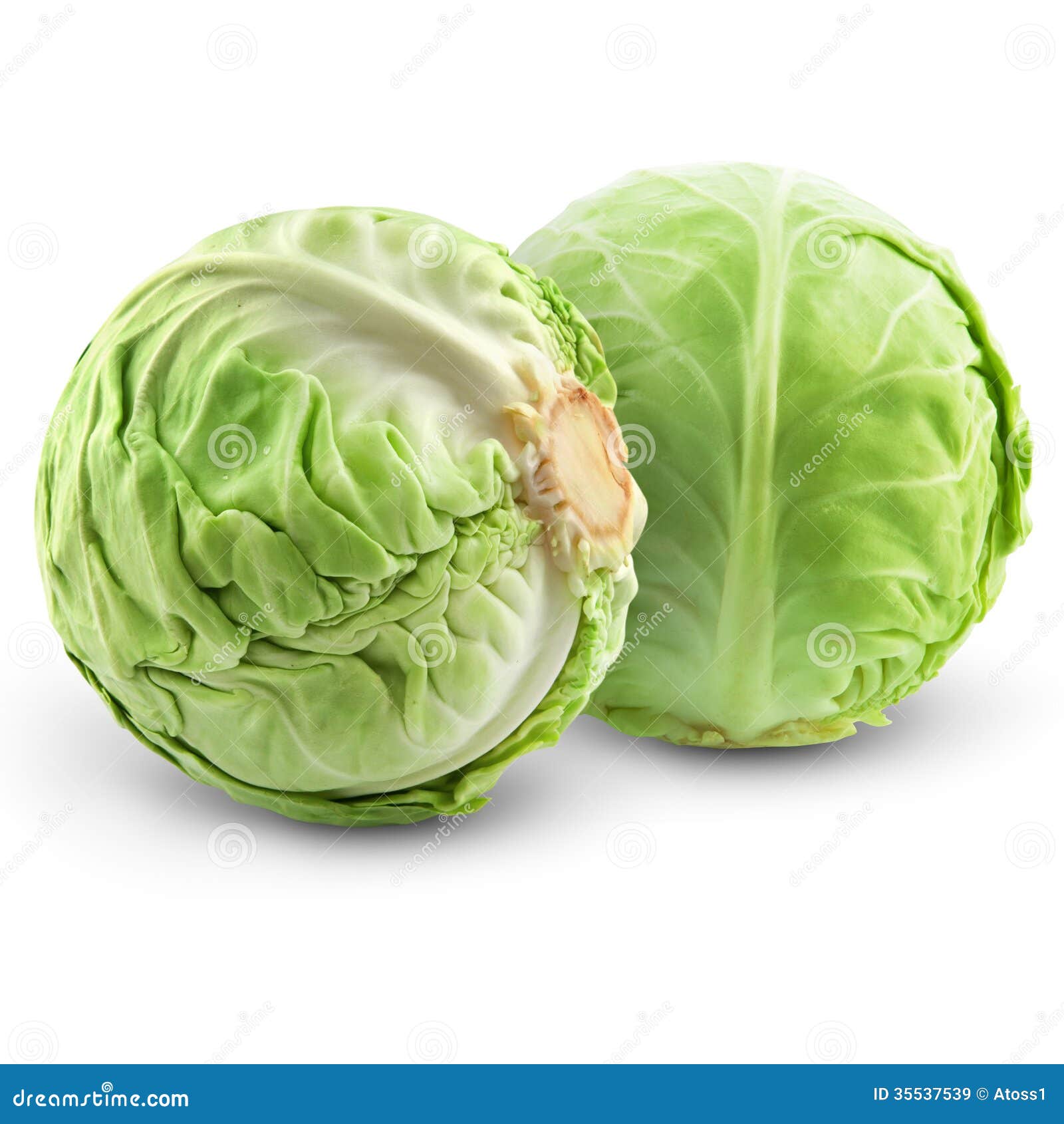 Cabbage isolated stock image. Image of healthy, harvest - 35537539