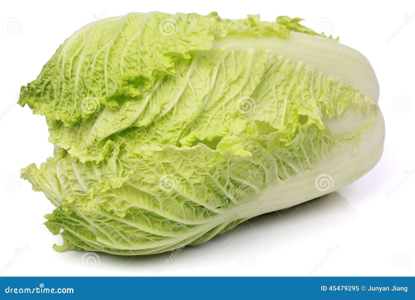 Cabbage stock image. Image of delicious, shape, ingredient - 45479295