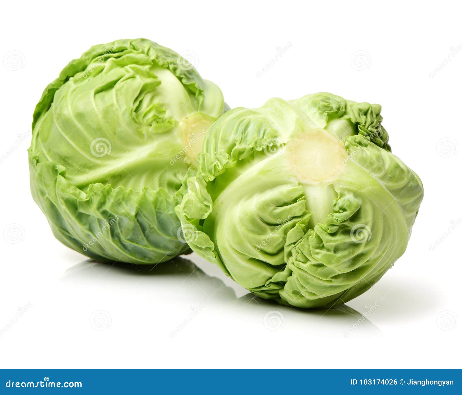 Cabbage stock photo. Image of green, flora, yield, plant - 103174026