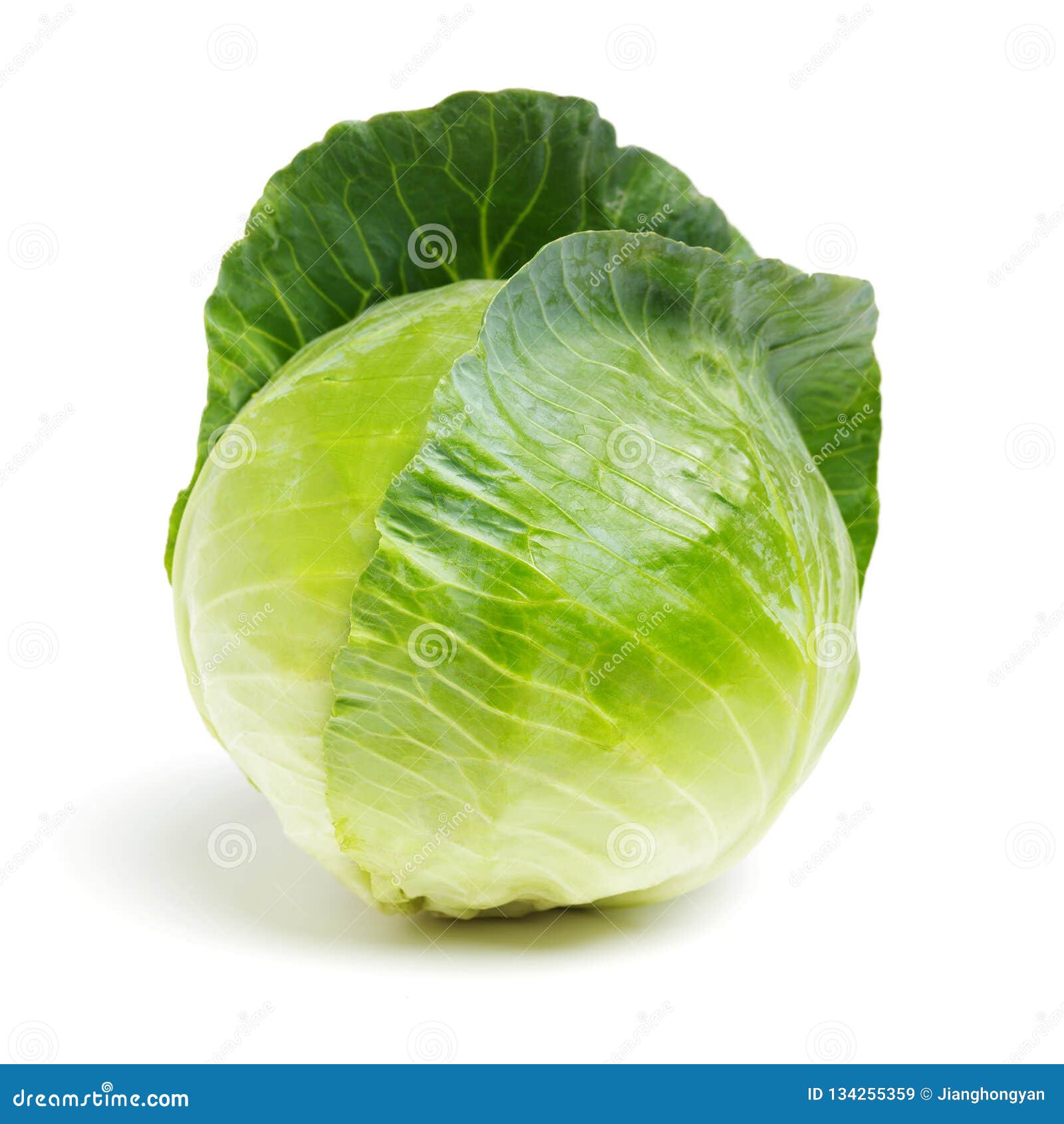 Cabbage isolated stock image. Image of cabbage, fruits - 134255359