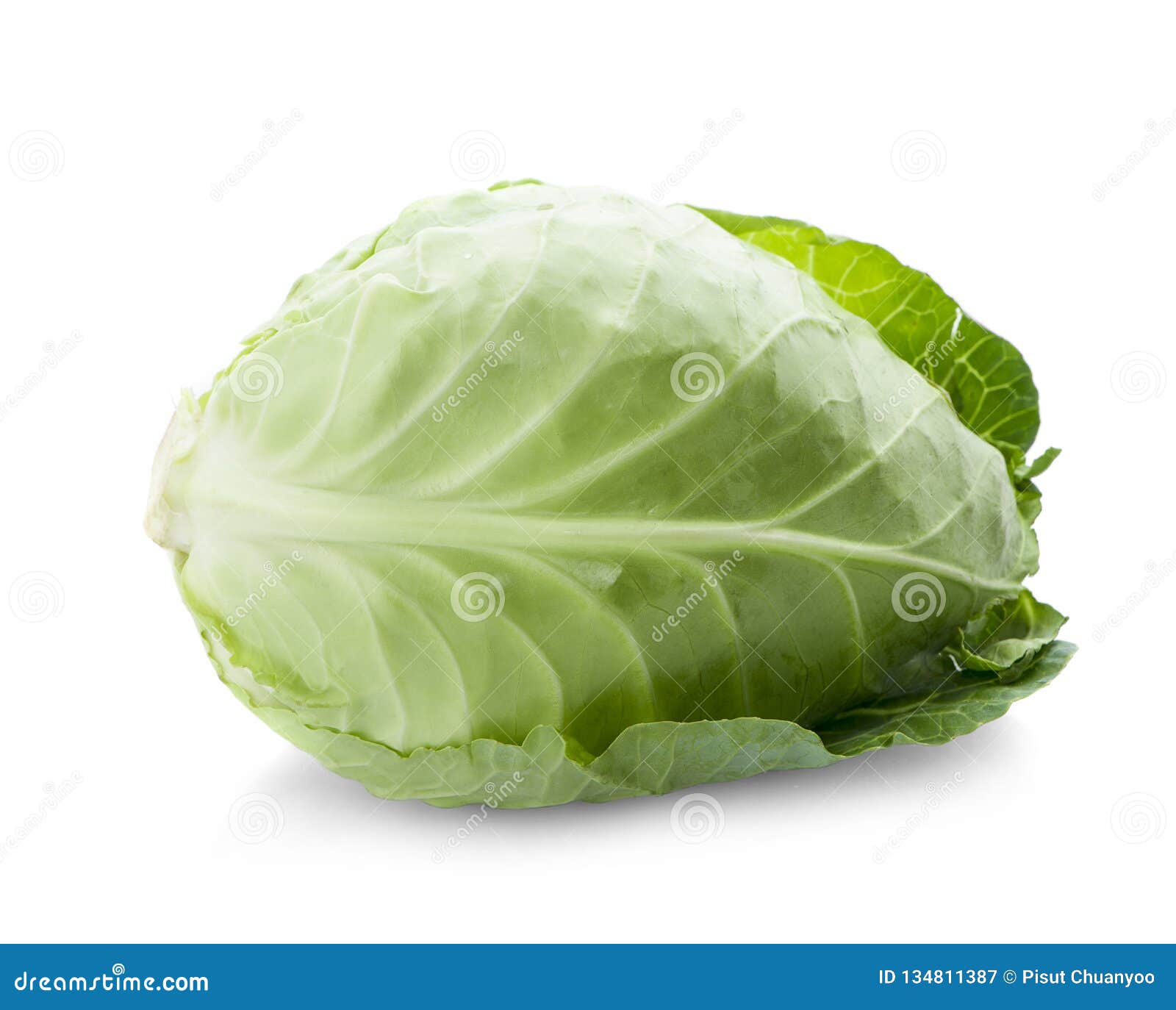 Cabbage an Isolated on White Background Stock Image - Image of health ...