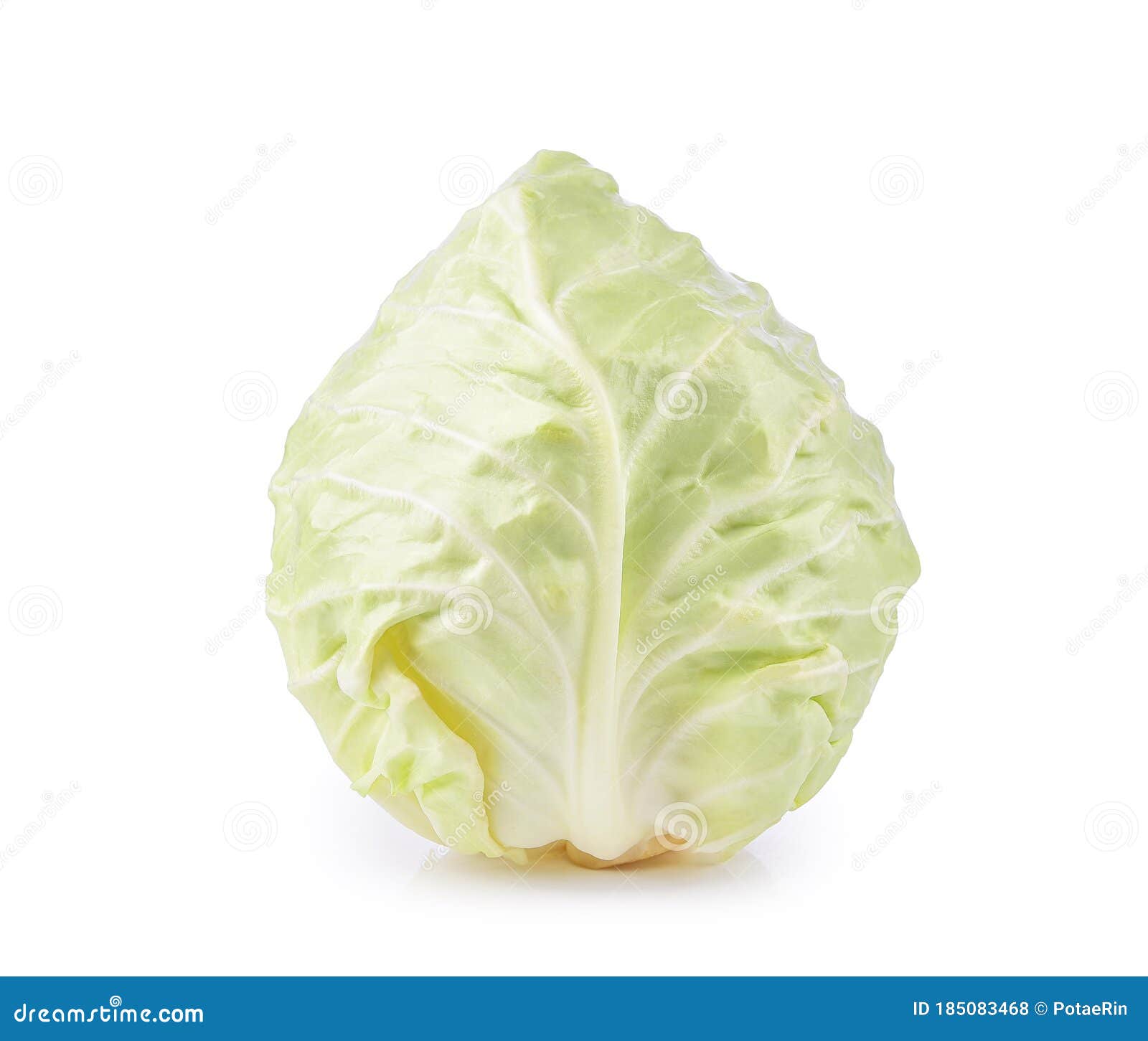 Cabbage Isolated on White Background. Stock Photo - Image of juicy ...