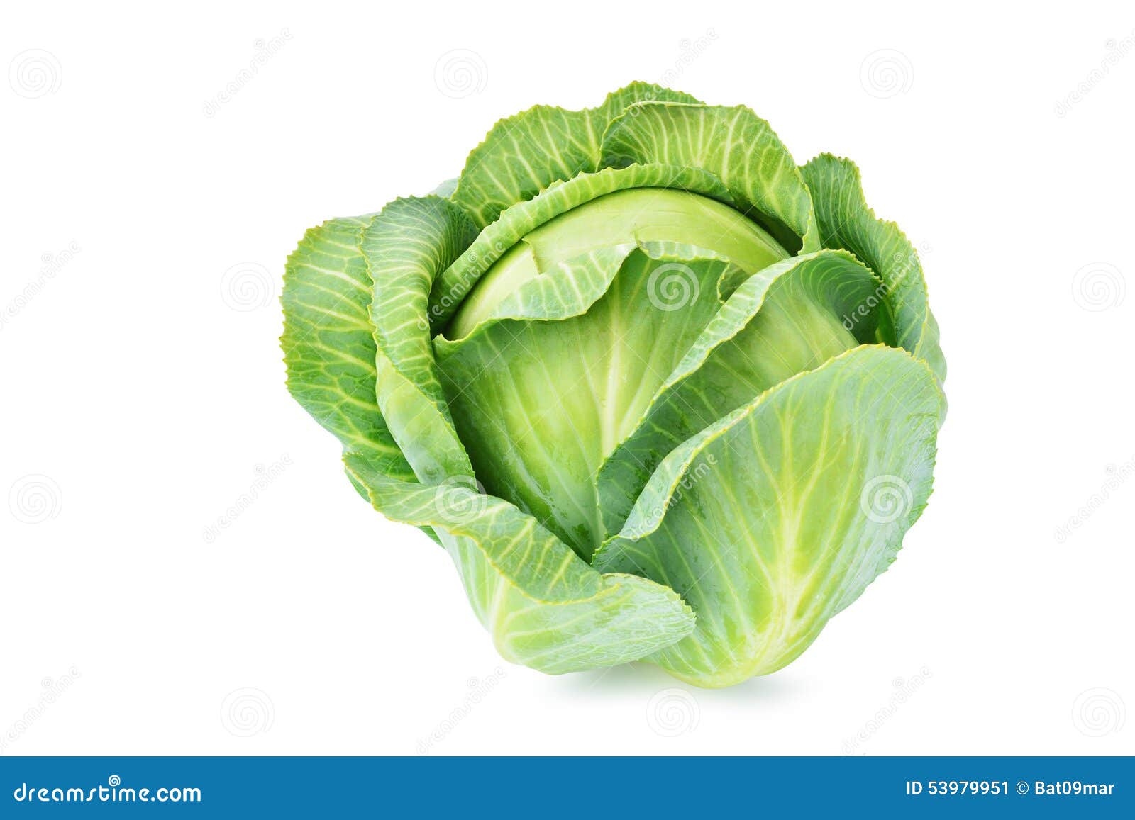 Cabbage Isolated on White Background Stock Image - Image of ingredient ...