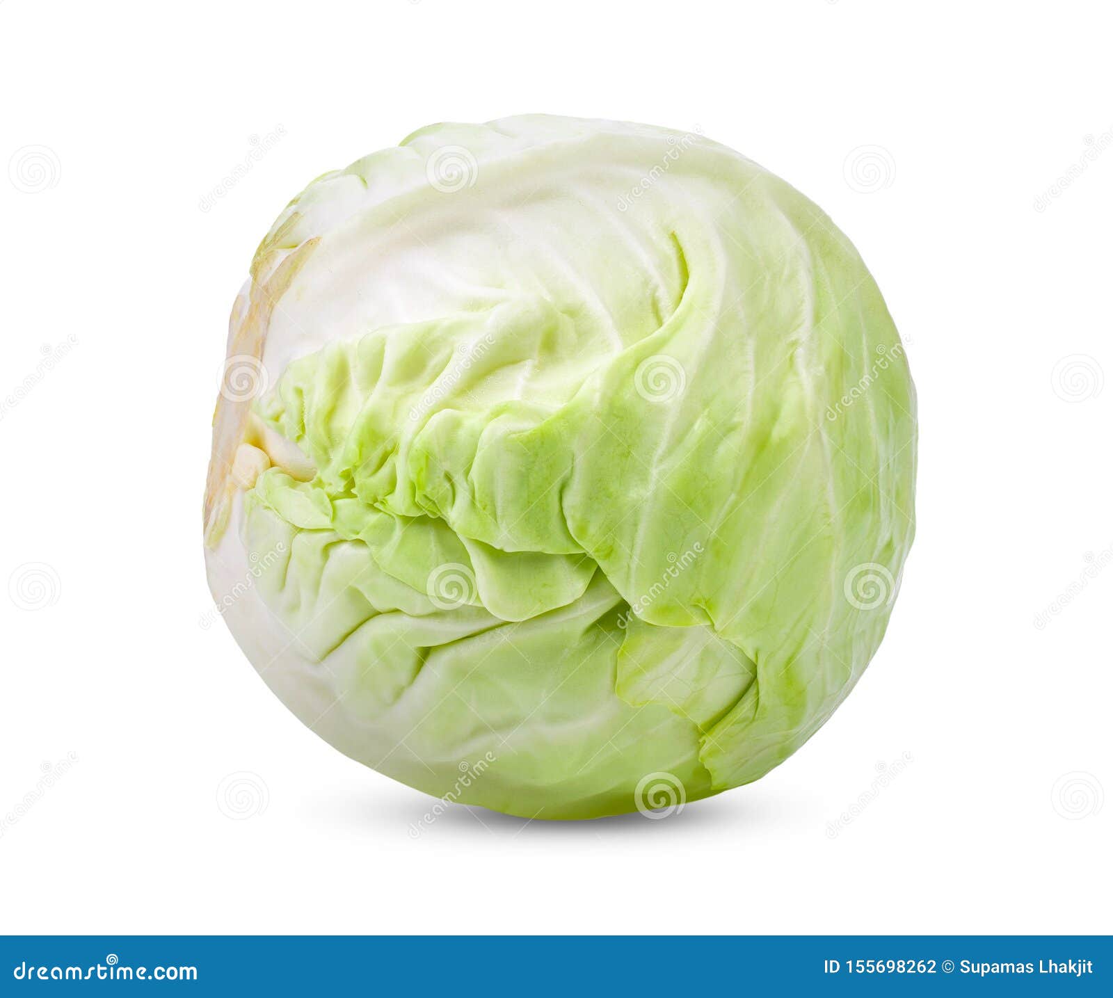Cabbage Isolated on White Background Stock Photo - Image of leaf ...