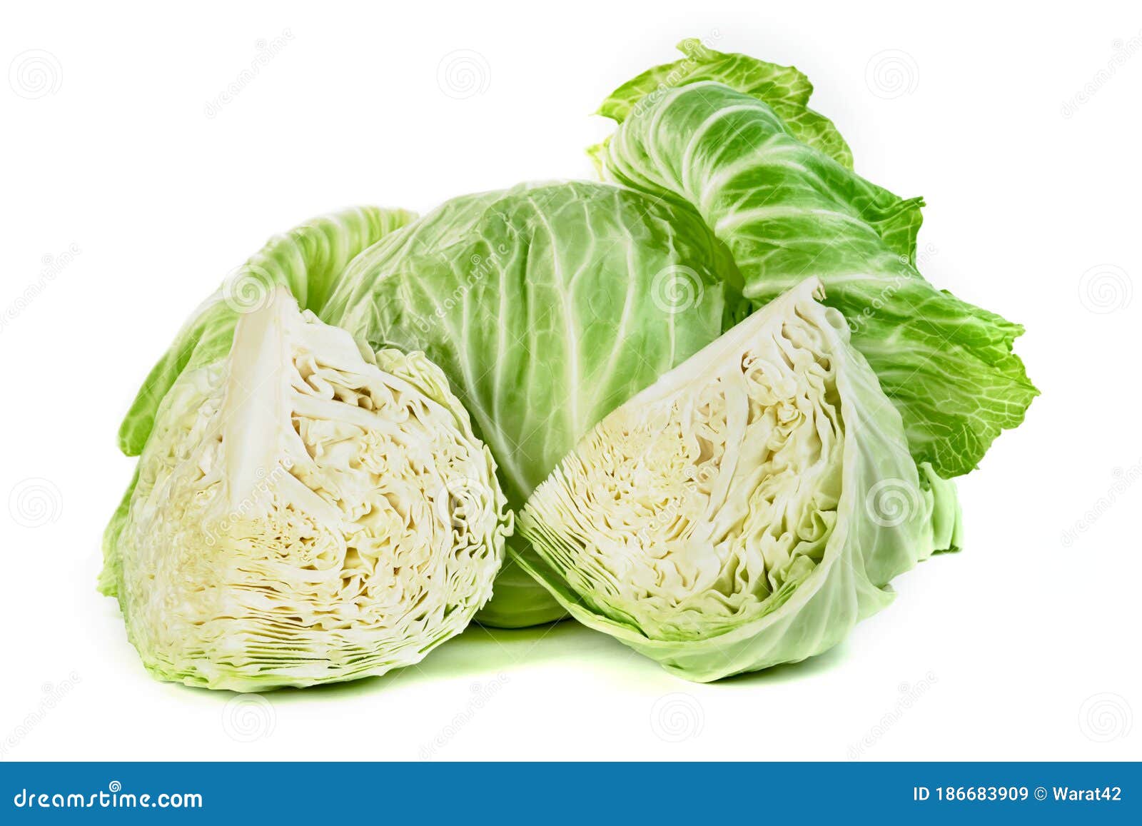 Cabbage Isolated on White Background ,Green Leaves Pattern Stock Image ...