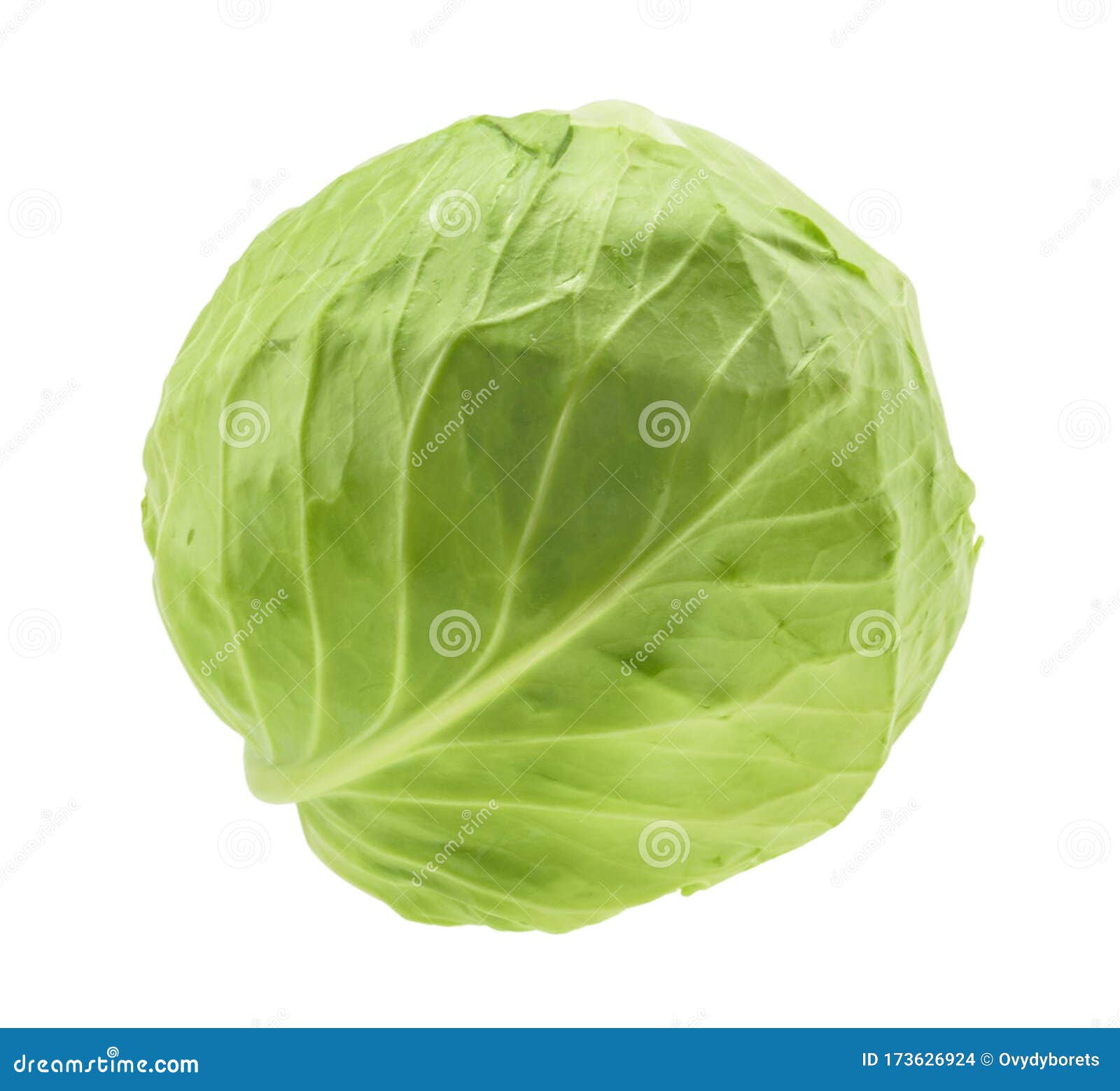Cabbage Isolated on White Background without Shadow Stock Photo - Image ...