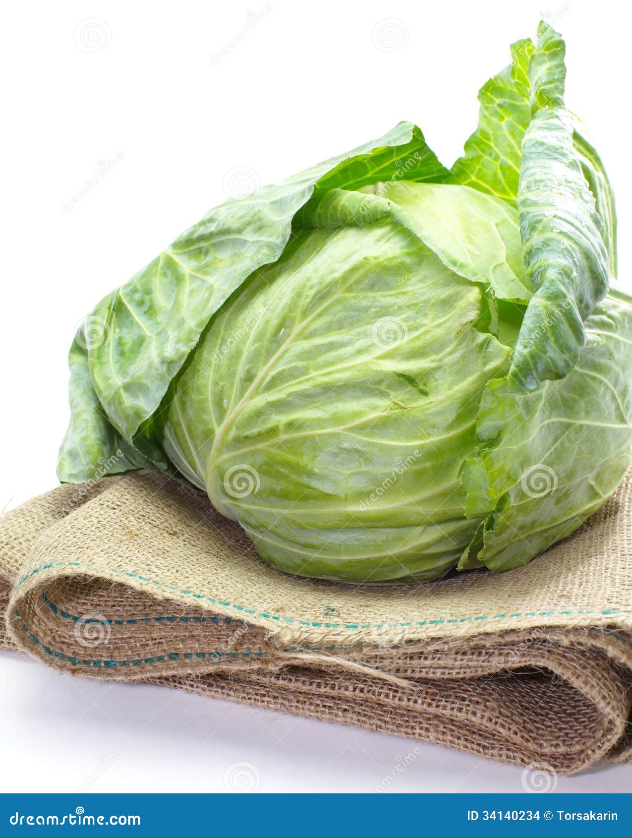 Cabbage isolated on white stock photo. Image of grocery - 34140234
