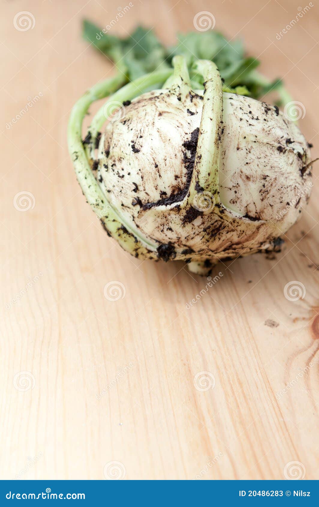 Cabbage kohlrabi turnip stock image. Image of wood, board - 20486283