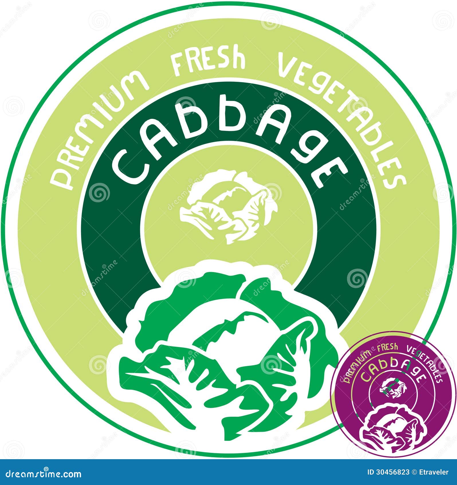 Cabbage label stock vector. Illustration of agriculture - 30456823