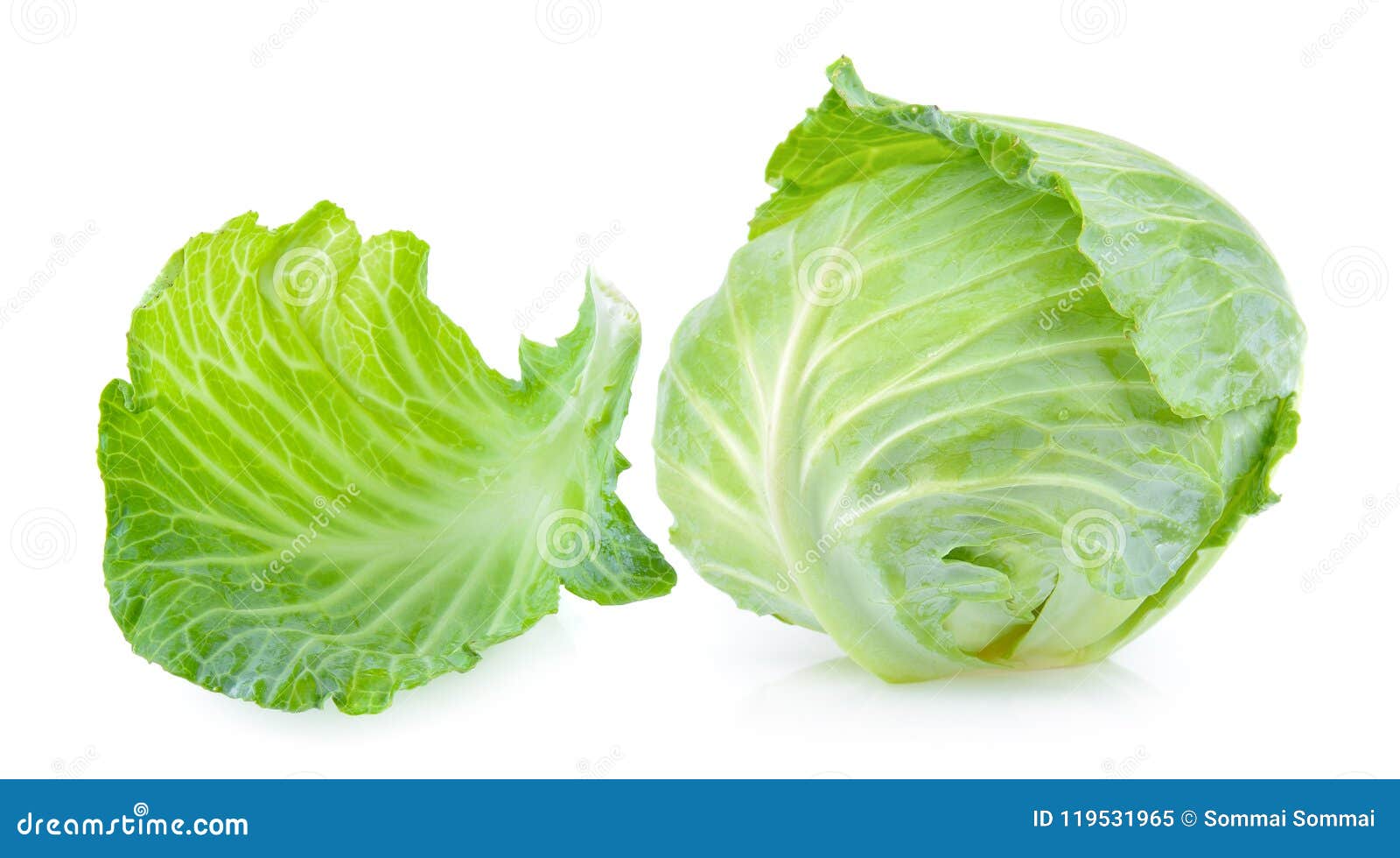 Cabbage Leaf on White Background Stock Image - Image of cabbage ...