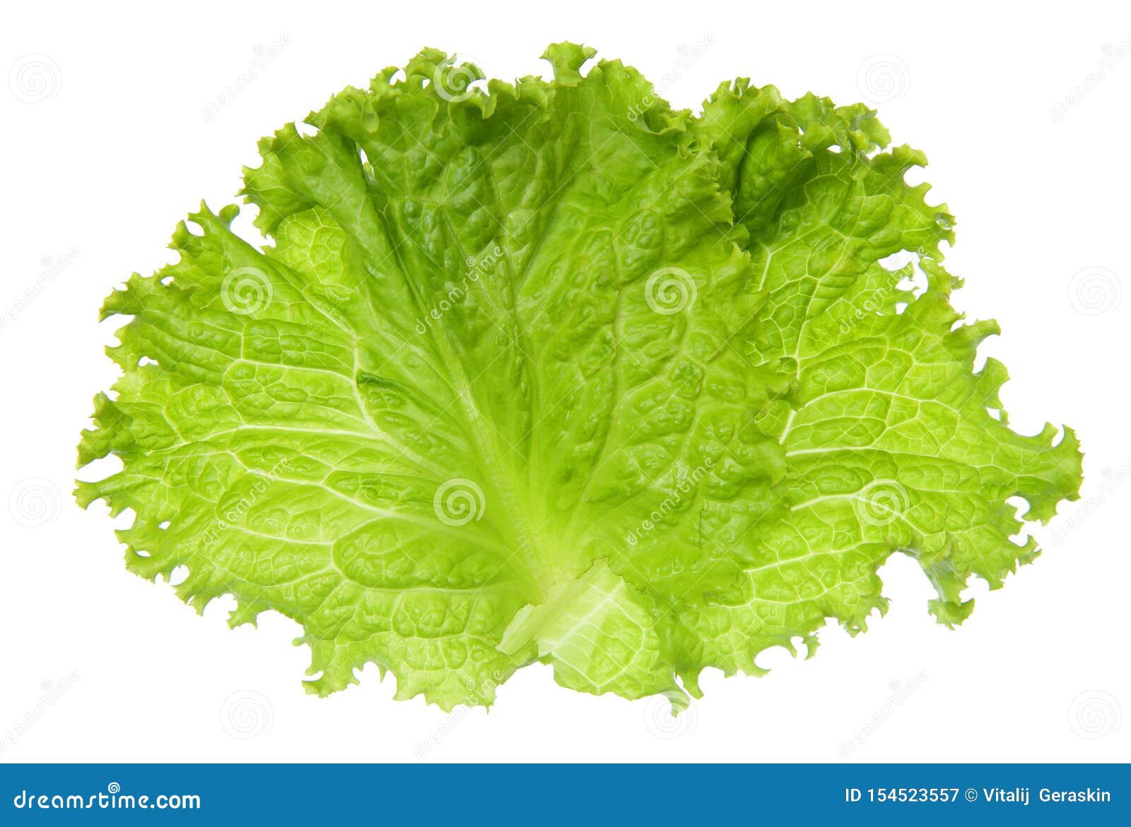 Cabbage Leaf on White Background Stock Image - Image of ingredient ...