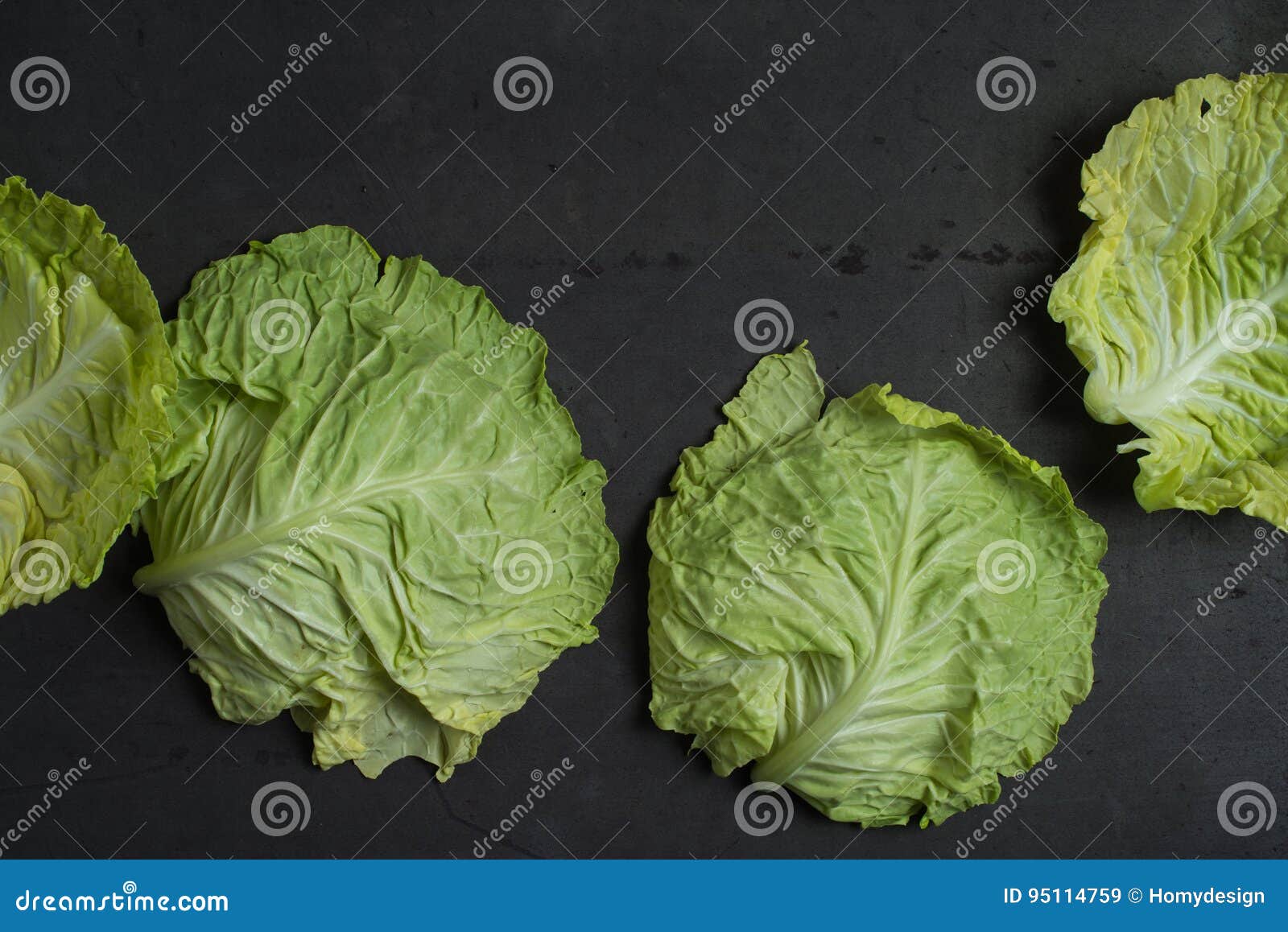 Cabbage leaves background stock image. Image of textured - 95114759