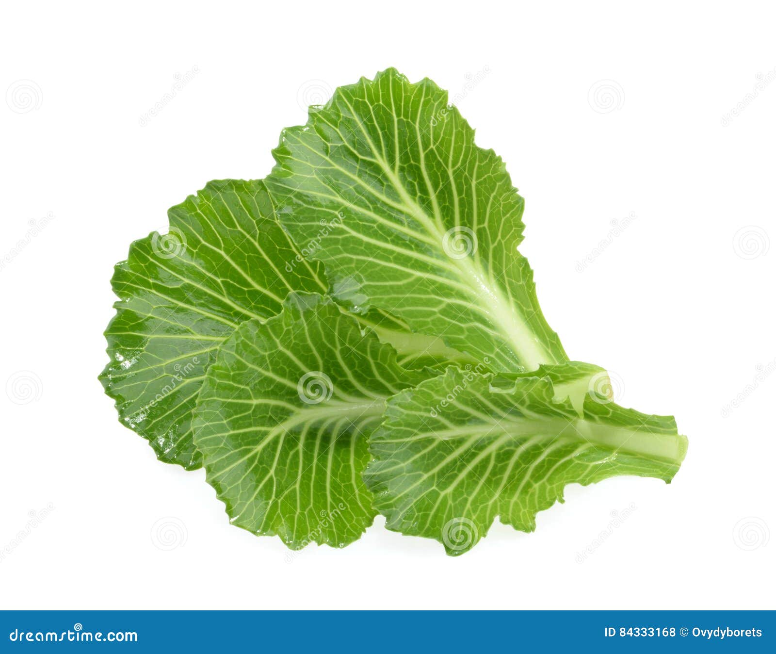 Cabbage Leaves Isolated on White Stock Photo - Image of cabbage ...