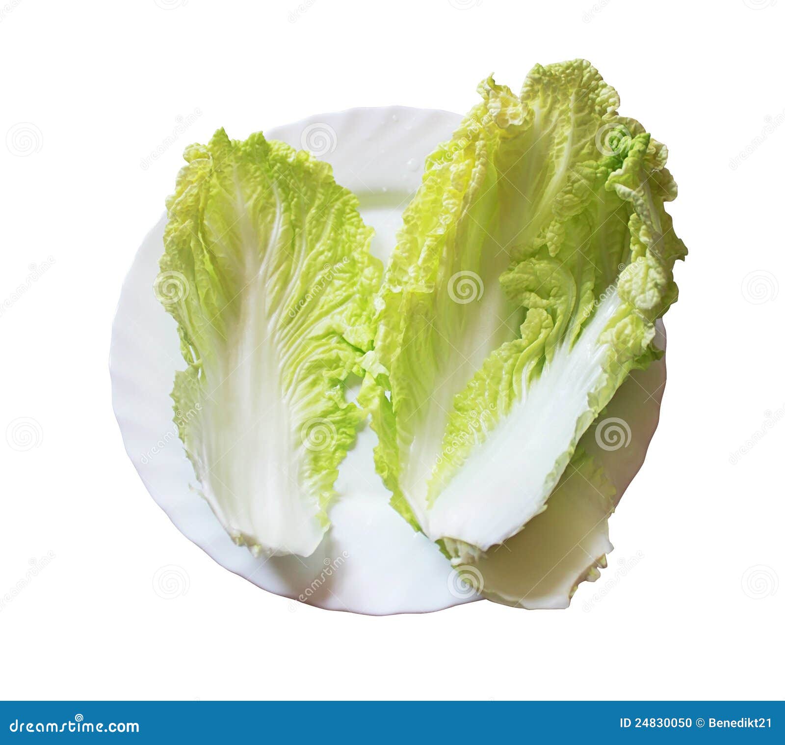 Cabbage Leaves on a Plate Isolated Stock Photo - Image of organic ...