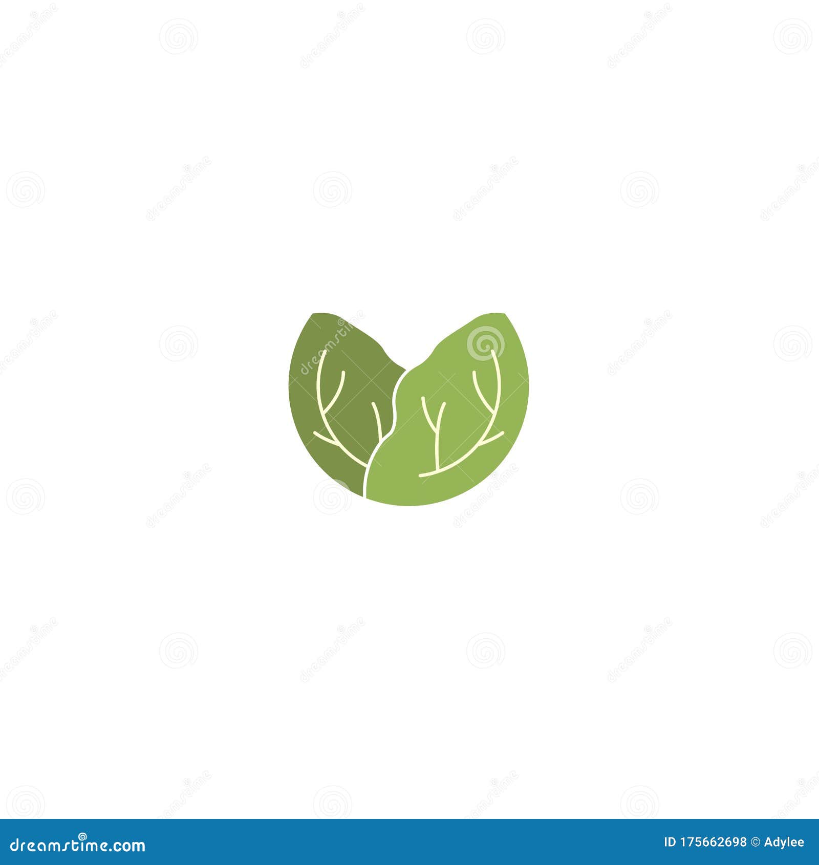 Cabbage Leaves Vector Icon Symbol Vegetables Isolated on White ...