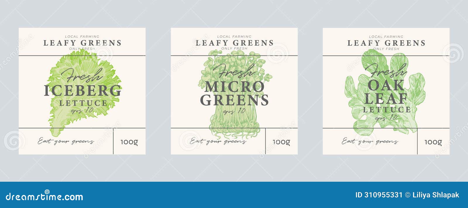 Lettuce Packaging Design Template Stock Illustration - Illustration of ...