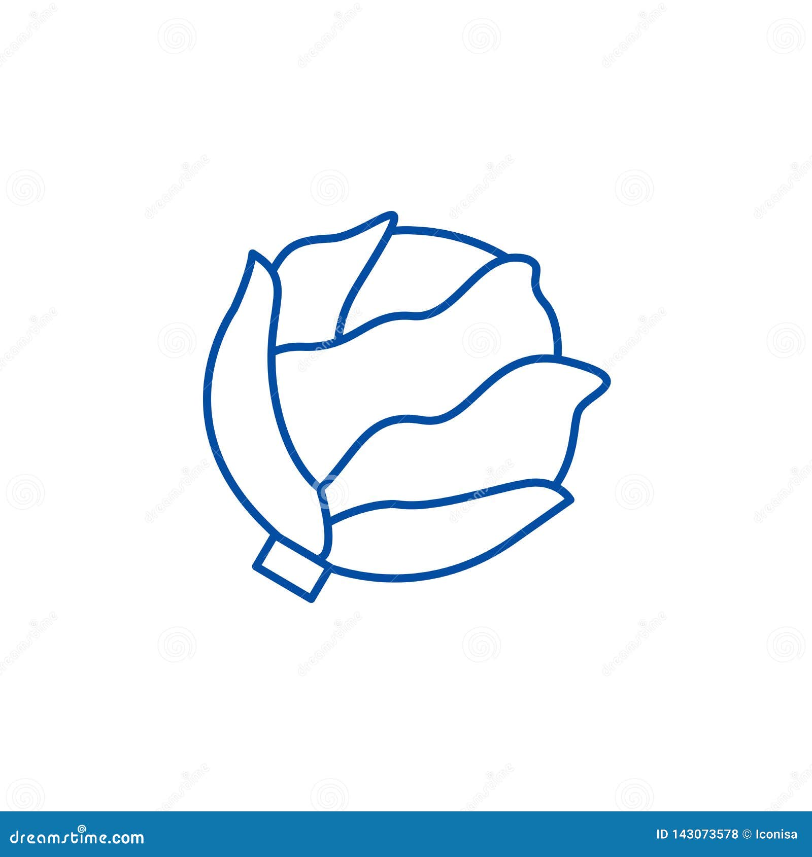 Cabbage Line Icon Concept. Cabbage Flat Vector Symbol, Sign, Outline ...