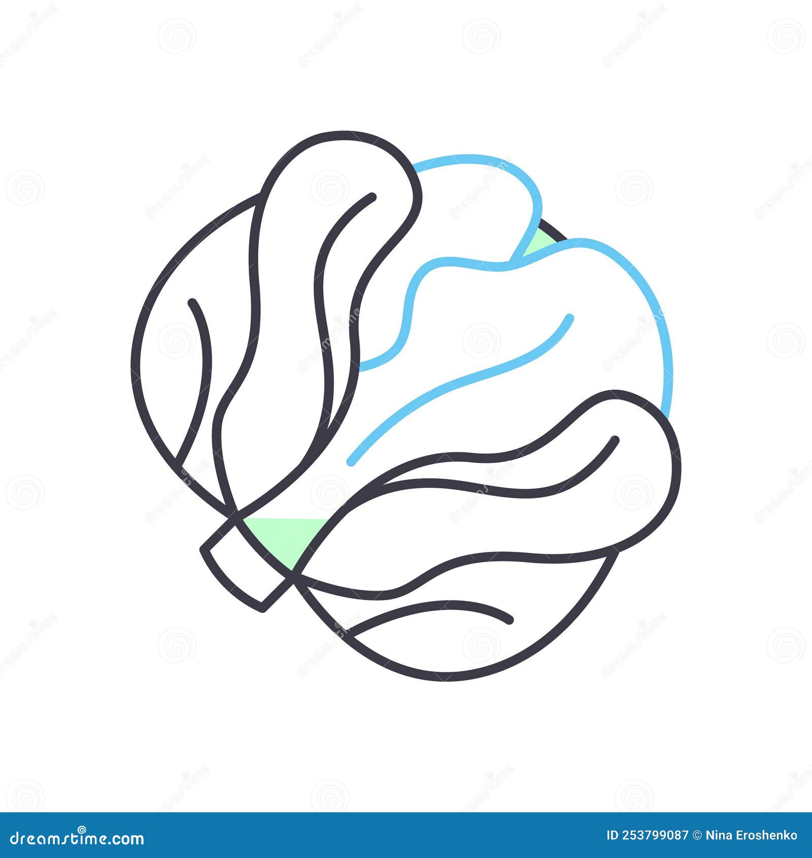 Cabbage Line Icon, Outline Symbol, Vector Illustration, Concept Sign ...