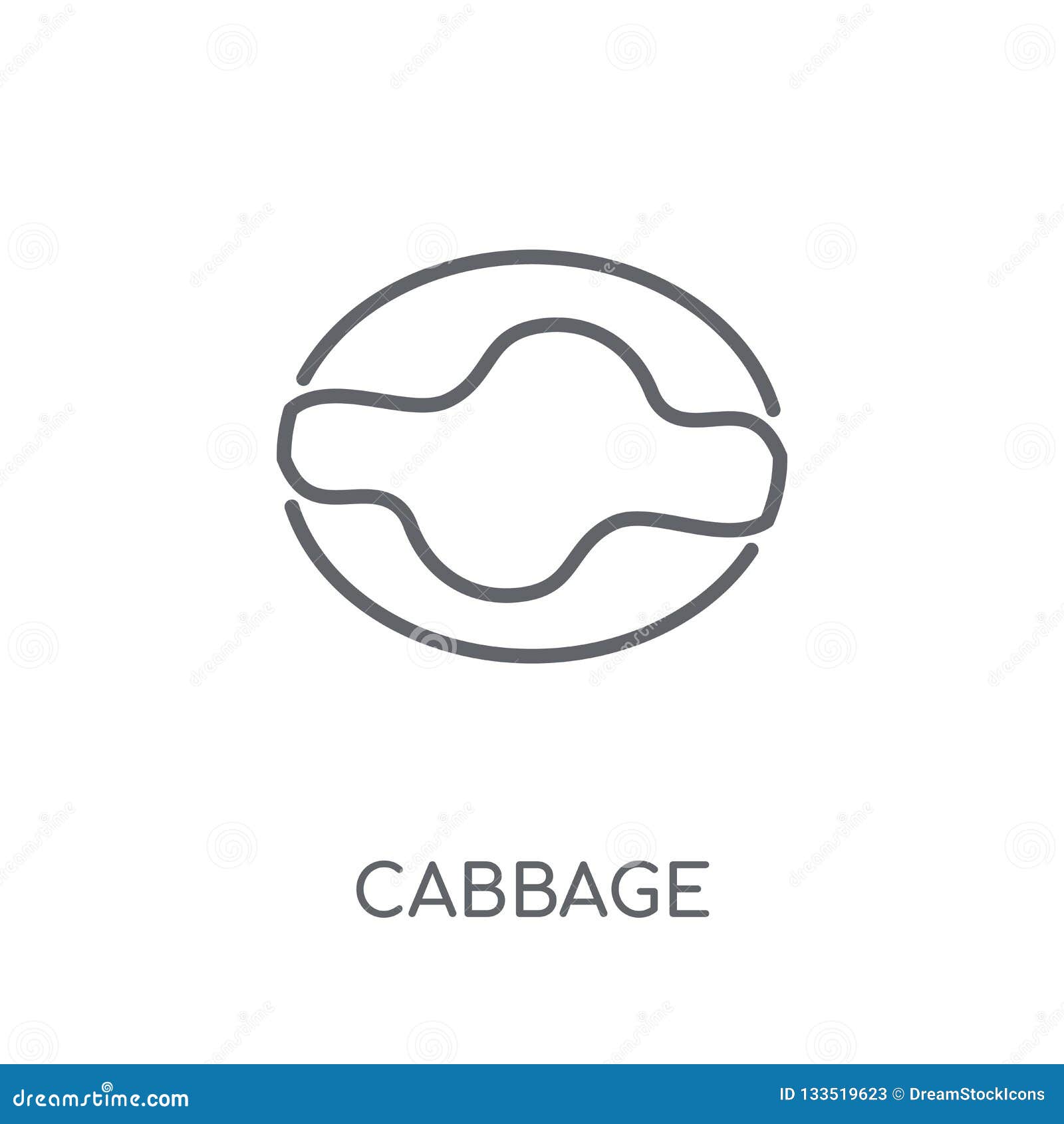 Cabbage Linear Icon. Modern Outline Cabbage Logo Concept on Whit Stock ...