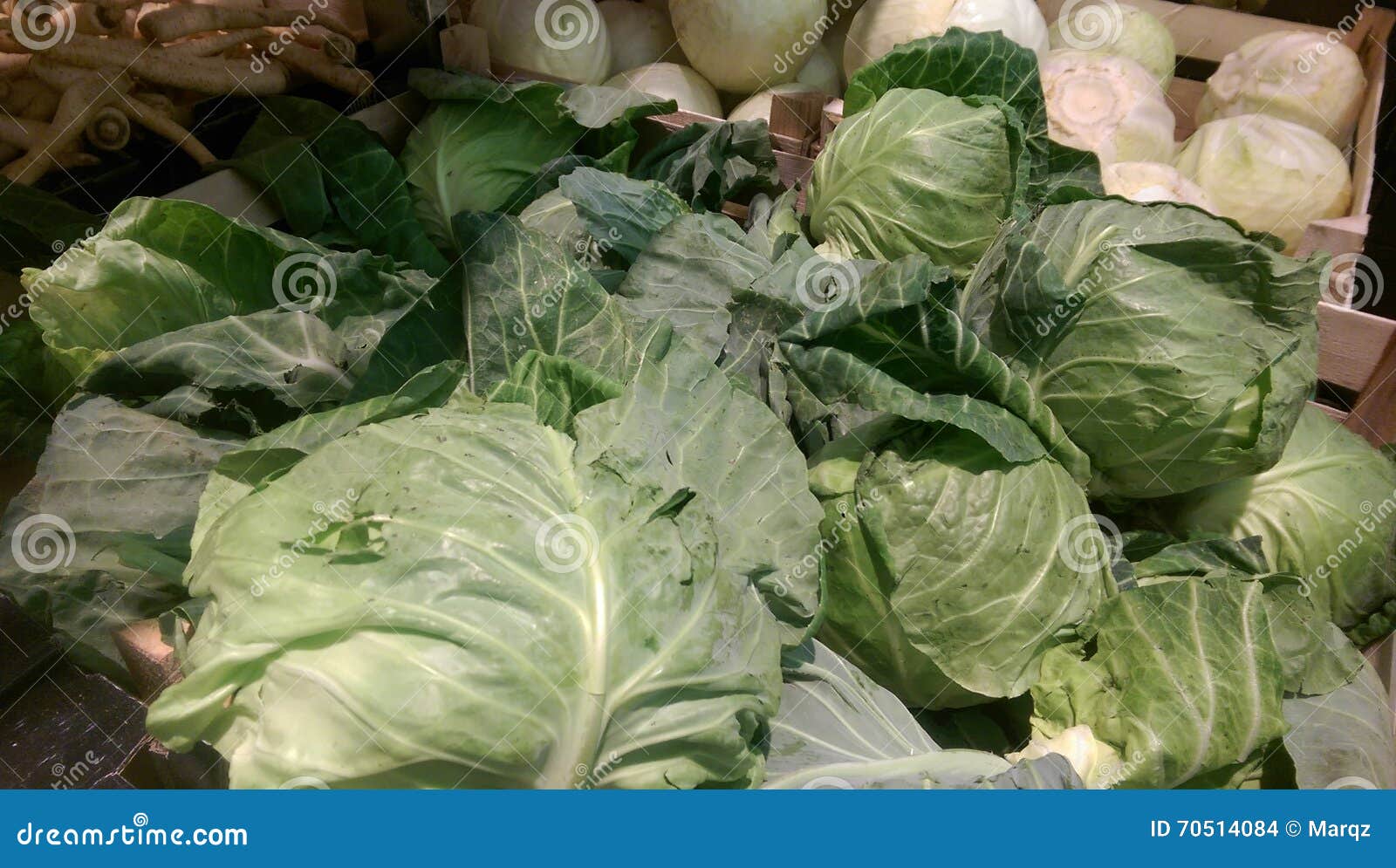 Cabbage in market stock photo. Image of leaf, vegetable - 70514084