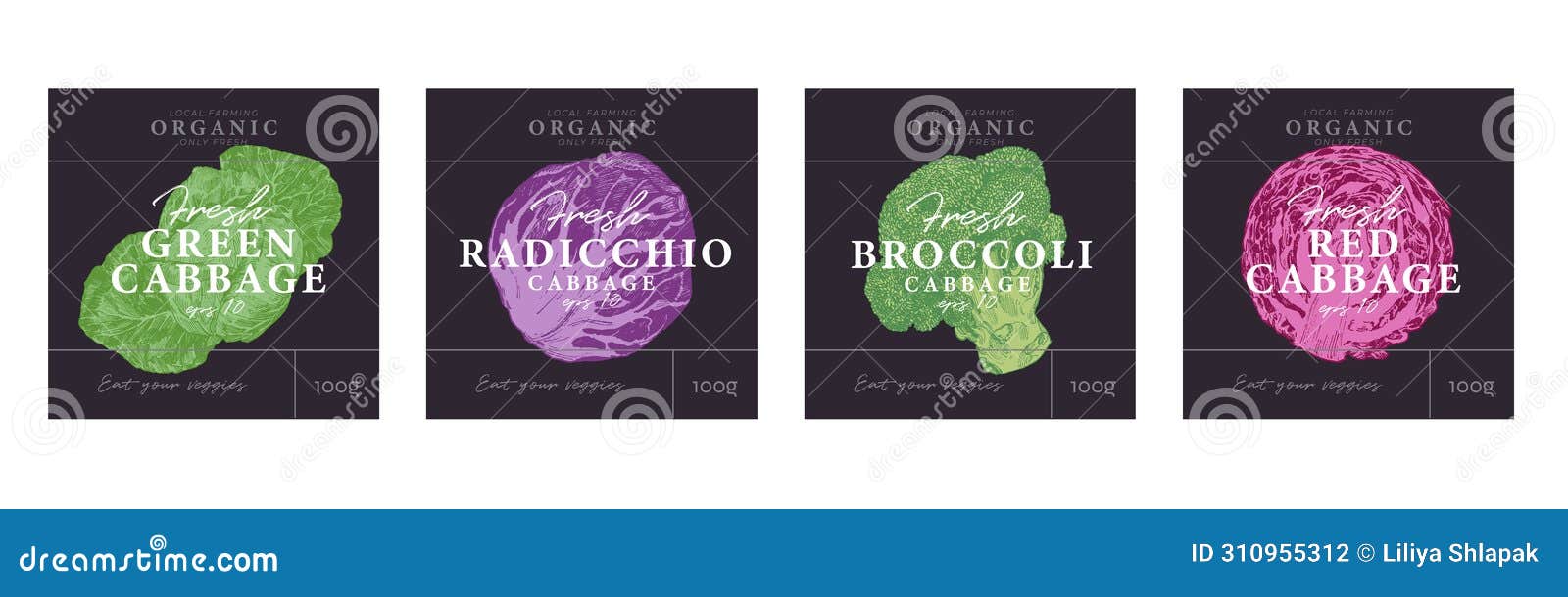 Cabbage Packaging Design Template on Dark Stock Illustration ...