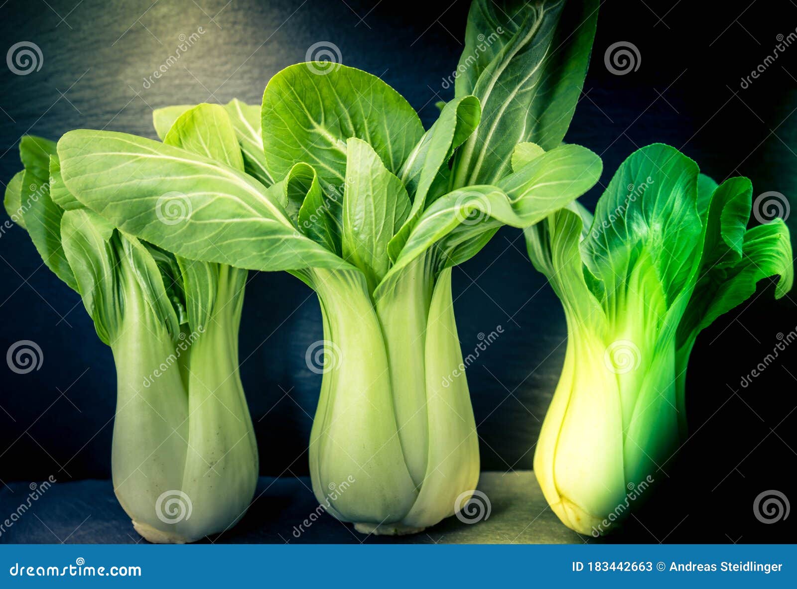 Cabbage pak choi stock image. Image of healthy, mustard - 183442663