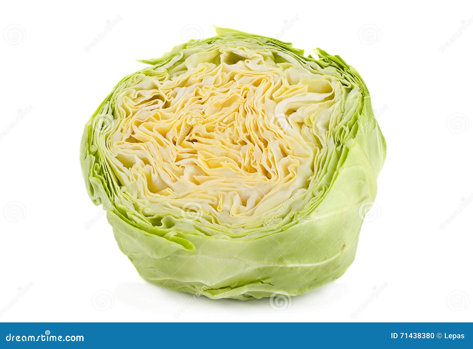 Cabbage Part Isolated on White Stock Photo - Image of vegetarian ...