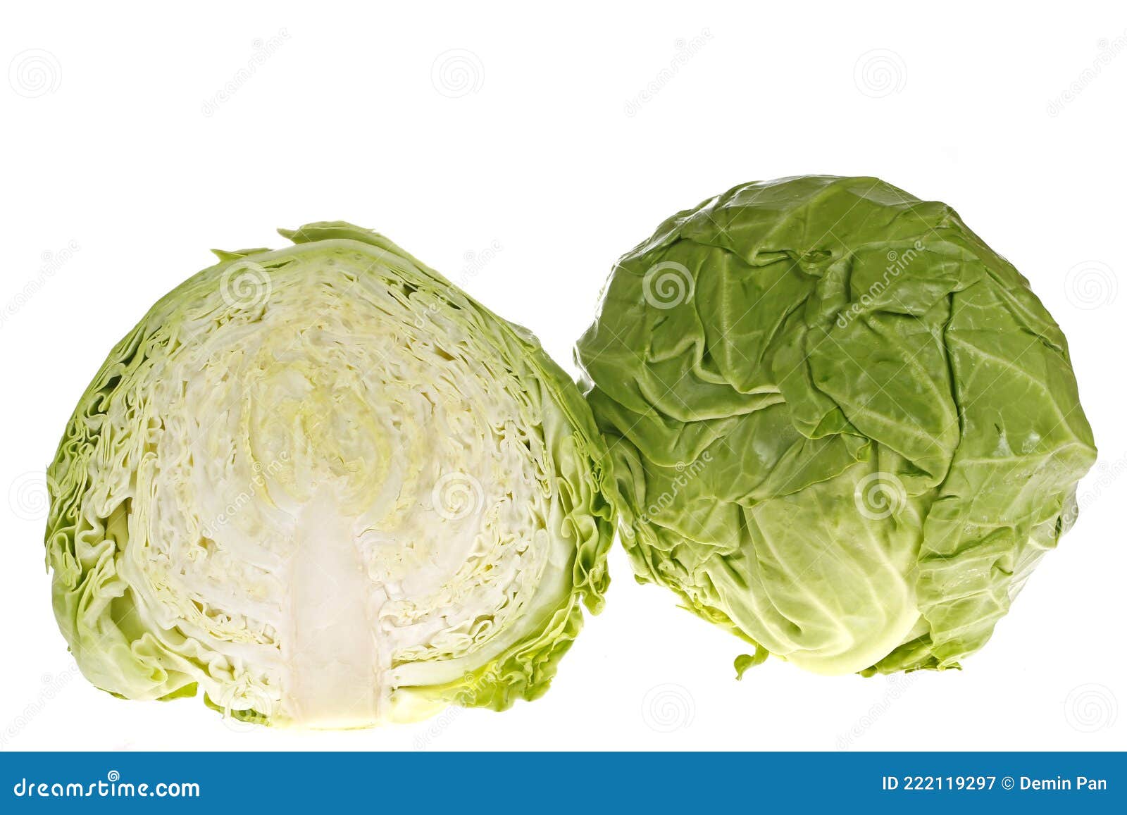 Cabbage Patch on the White Background Stock Image - Image of vegetarian ...