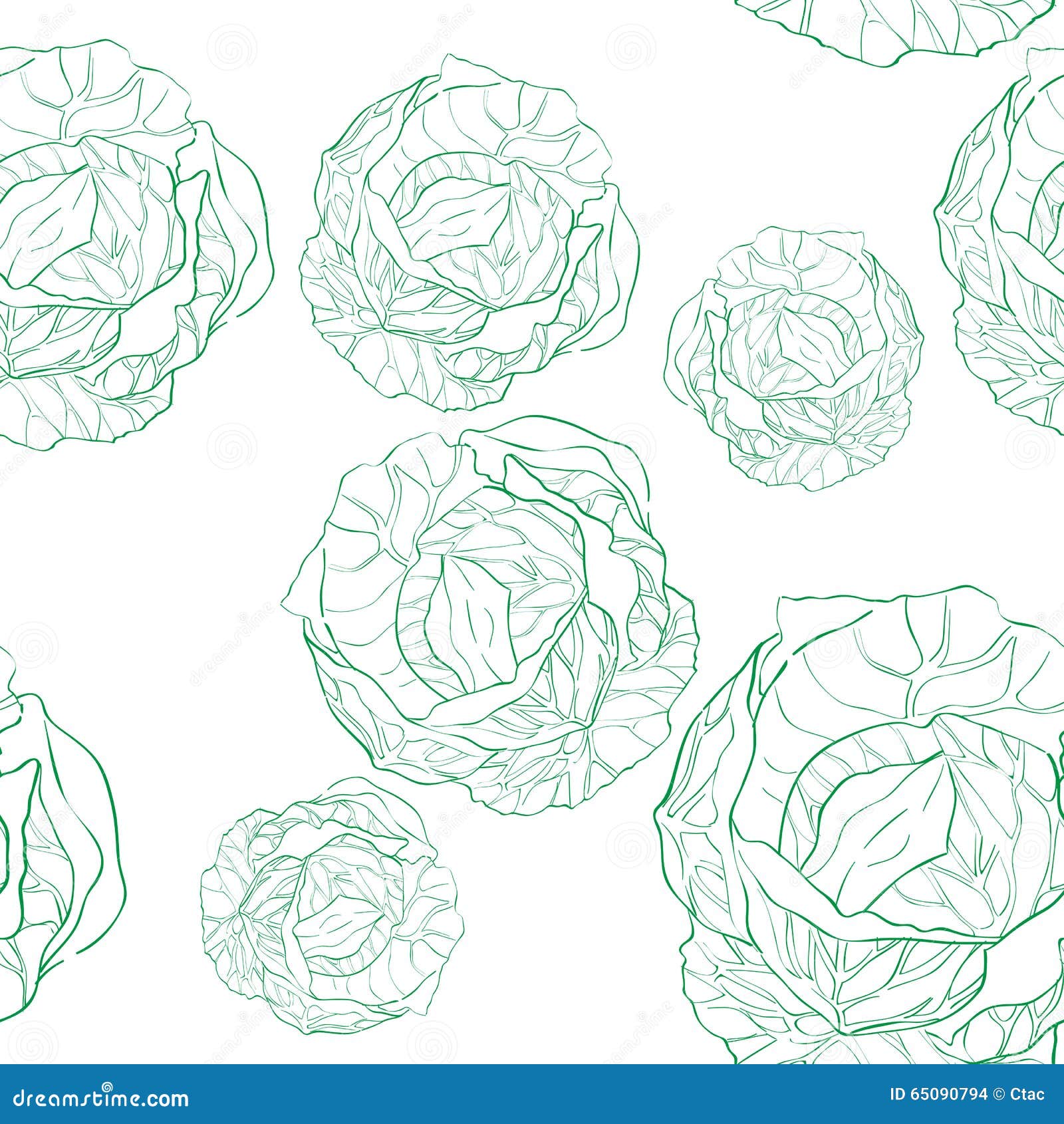 Cabbage pattern stock vector. Illustration of white, drawn - 65090794