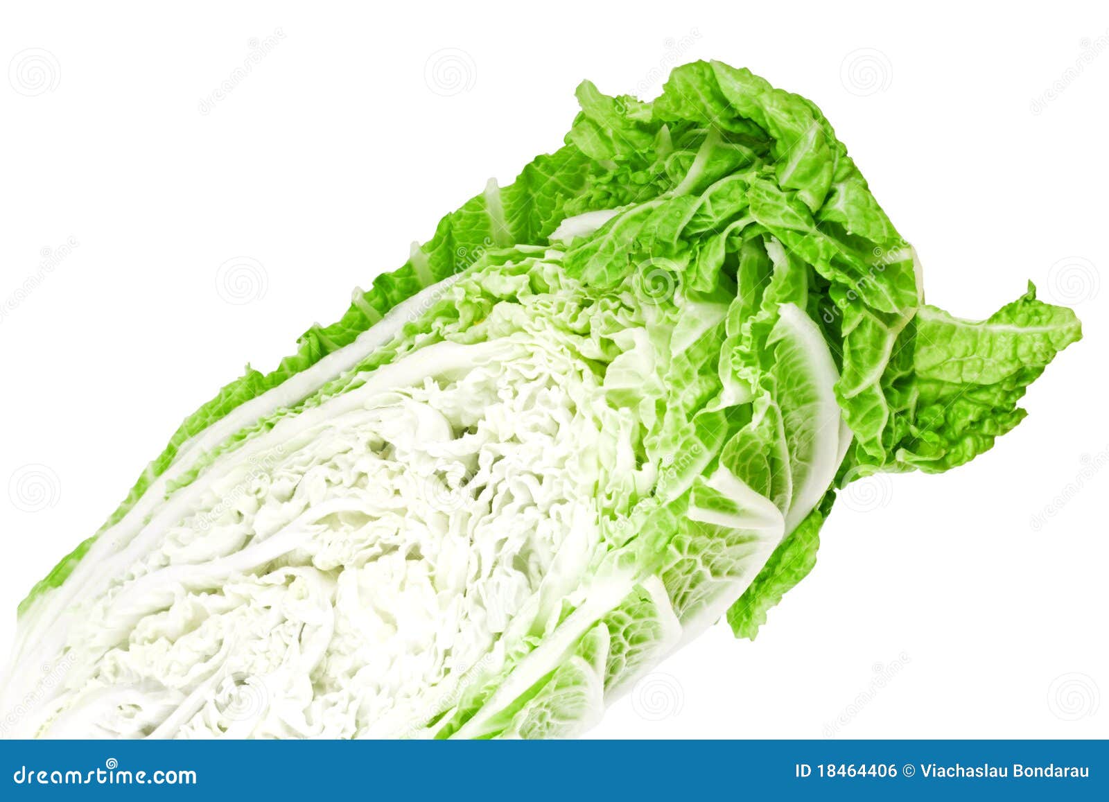 Cabbage peking stock photo. Image of dinner, culinary - 18464406