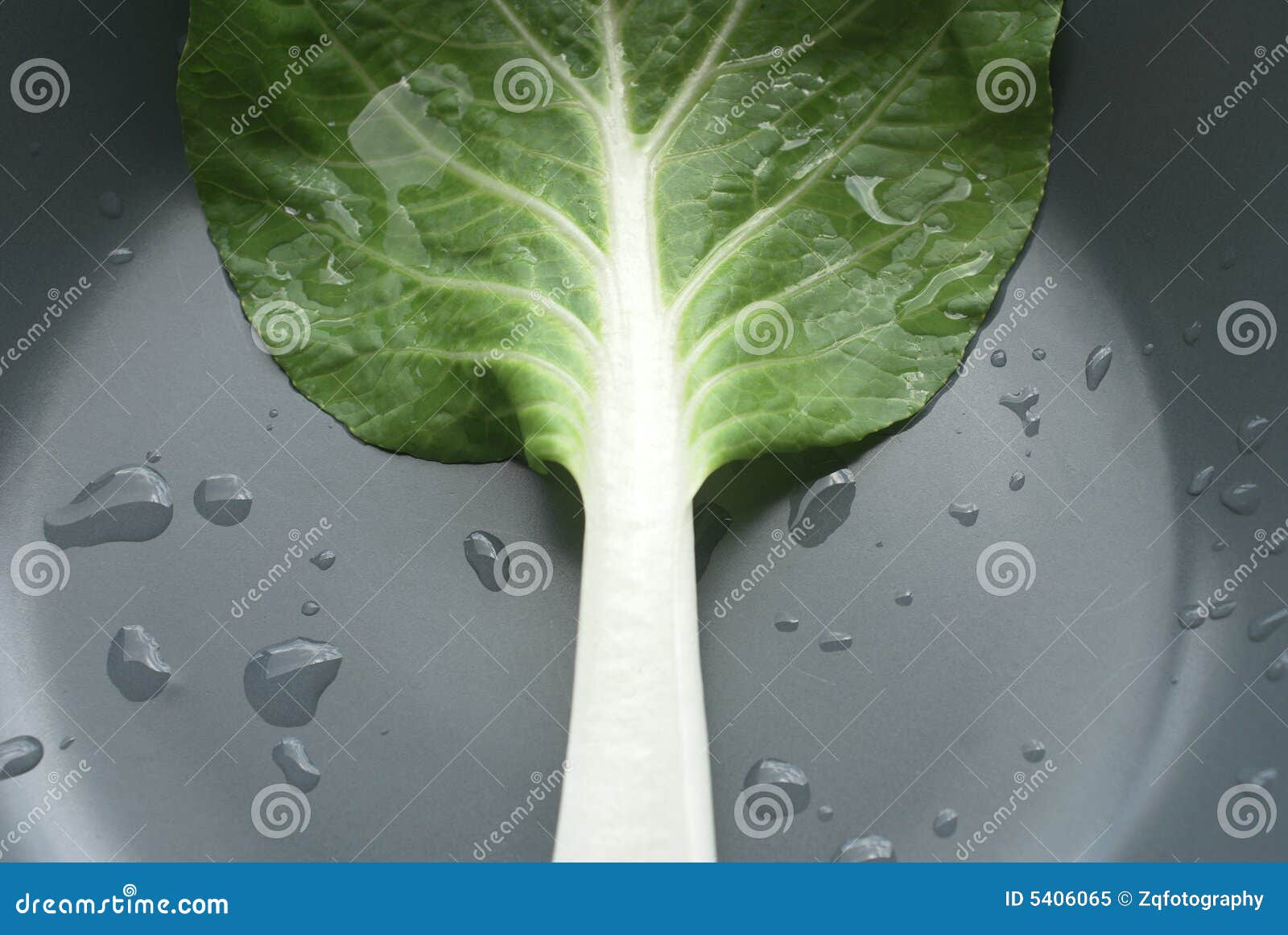 Cabbage in Plate stock image. Image of clean, food, cabbage - 5406065