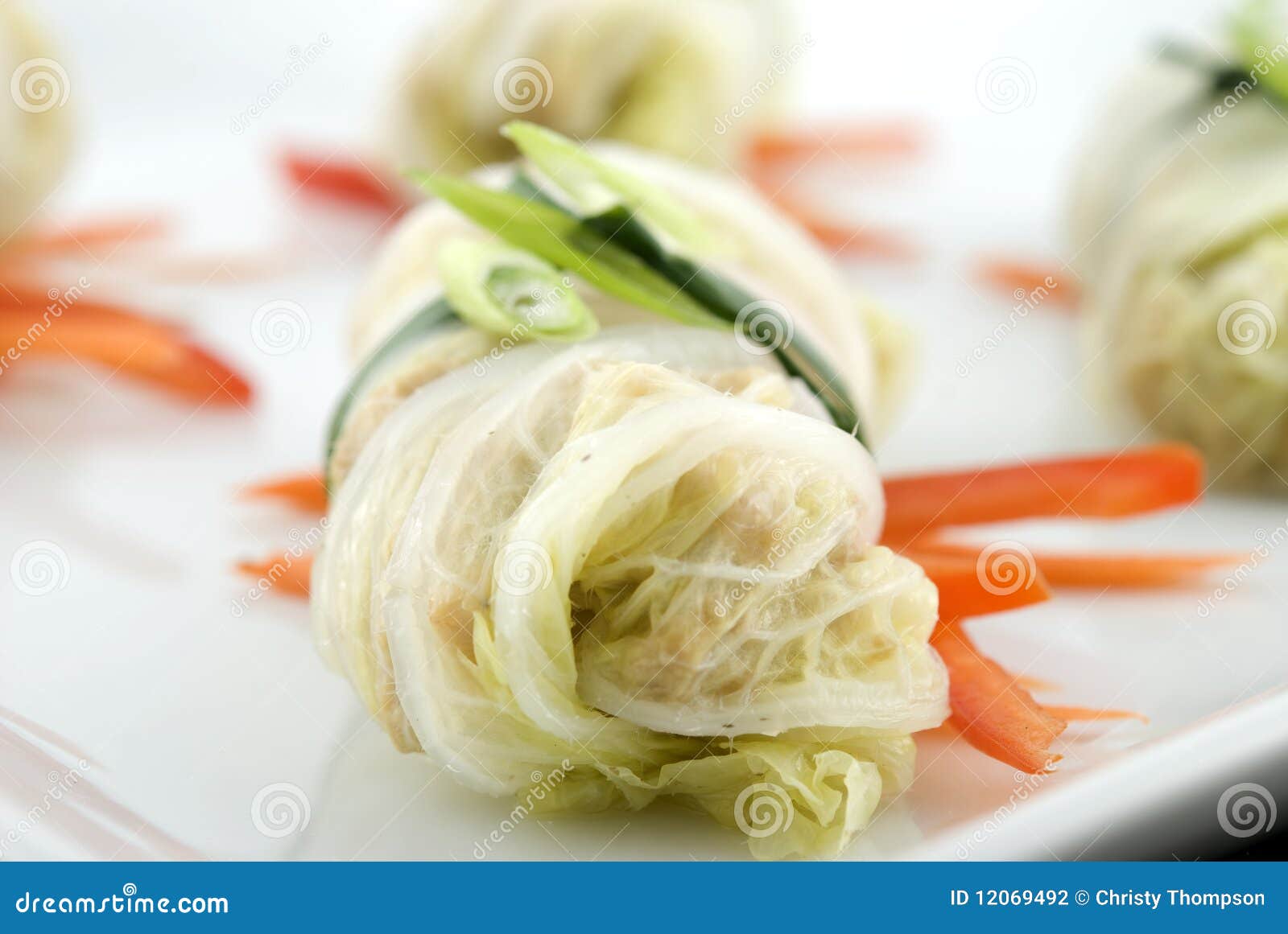 Cabbage roll appetizers stock photo. Image of enjoy, health - 12069492