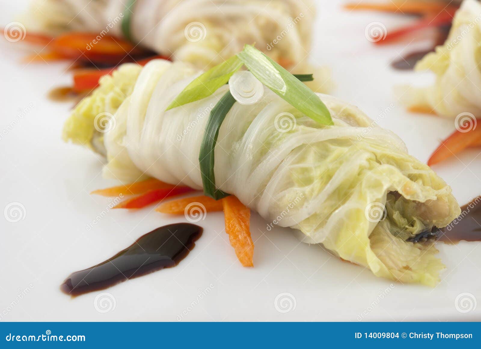 Cabbage Roll Appetizers with Soy Sauce Garnish Stock Photo - Image of ...