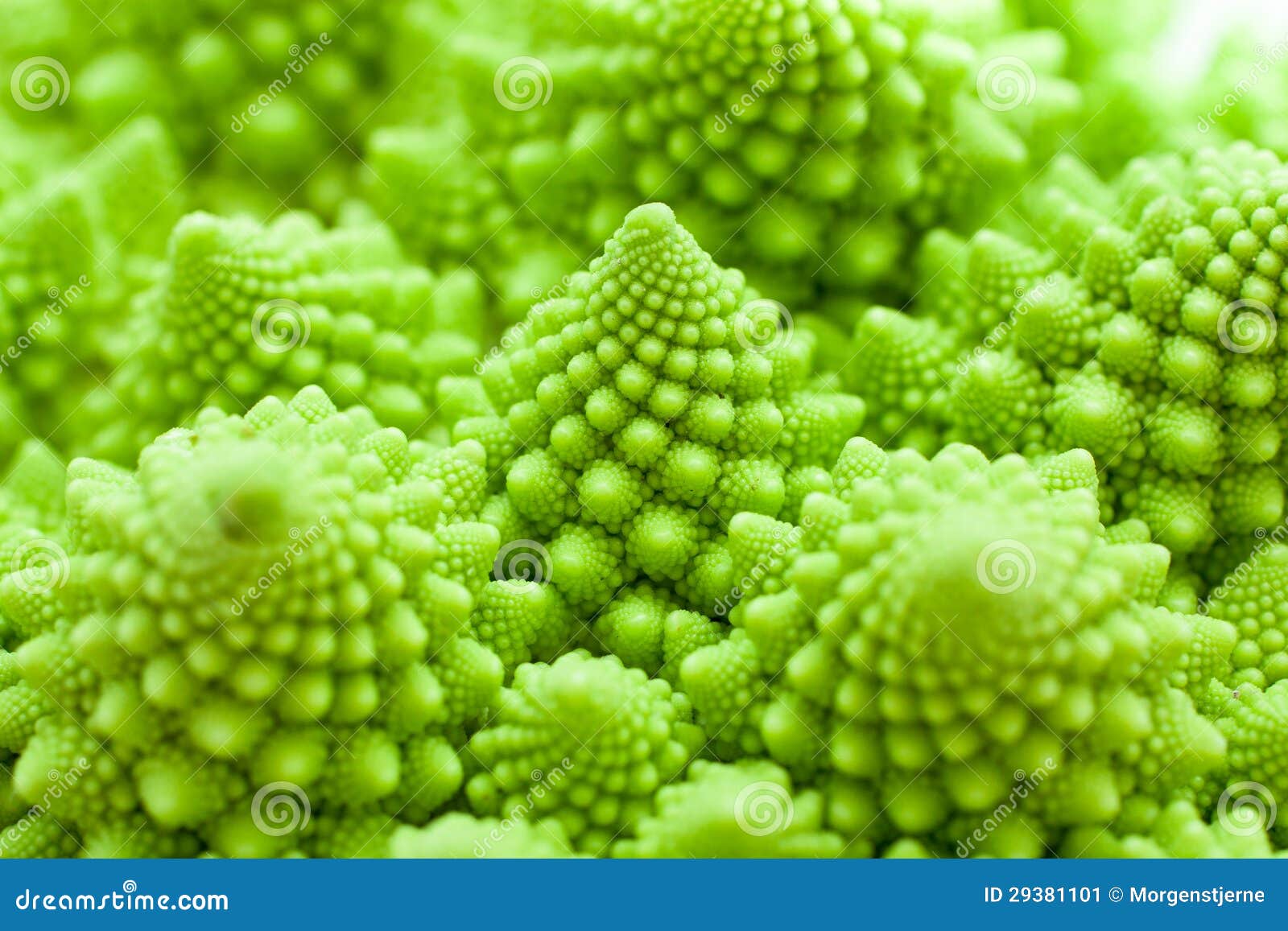 Cabbage Romanesco, Brassica Oleracea Stock Image - Image of broccoli ...
