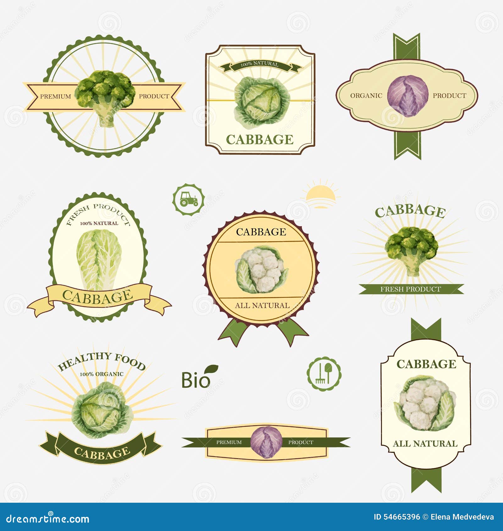 Cabbage, Set of Label Design Stock Vector - Illustration of logo ...
