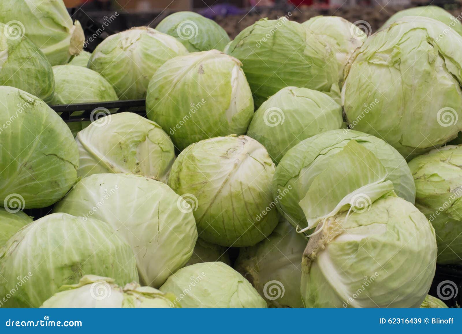 Cabbage on shelf in store stock image. Image of vegetables - 62316439