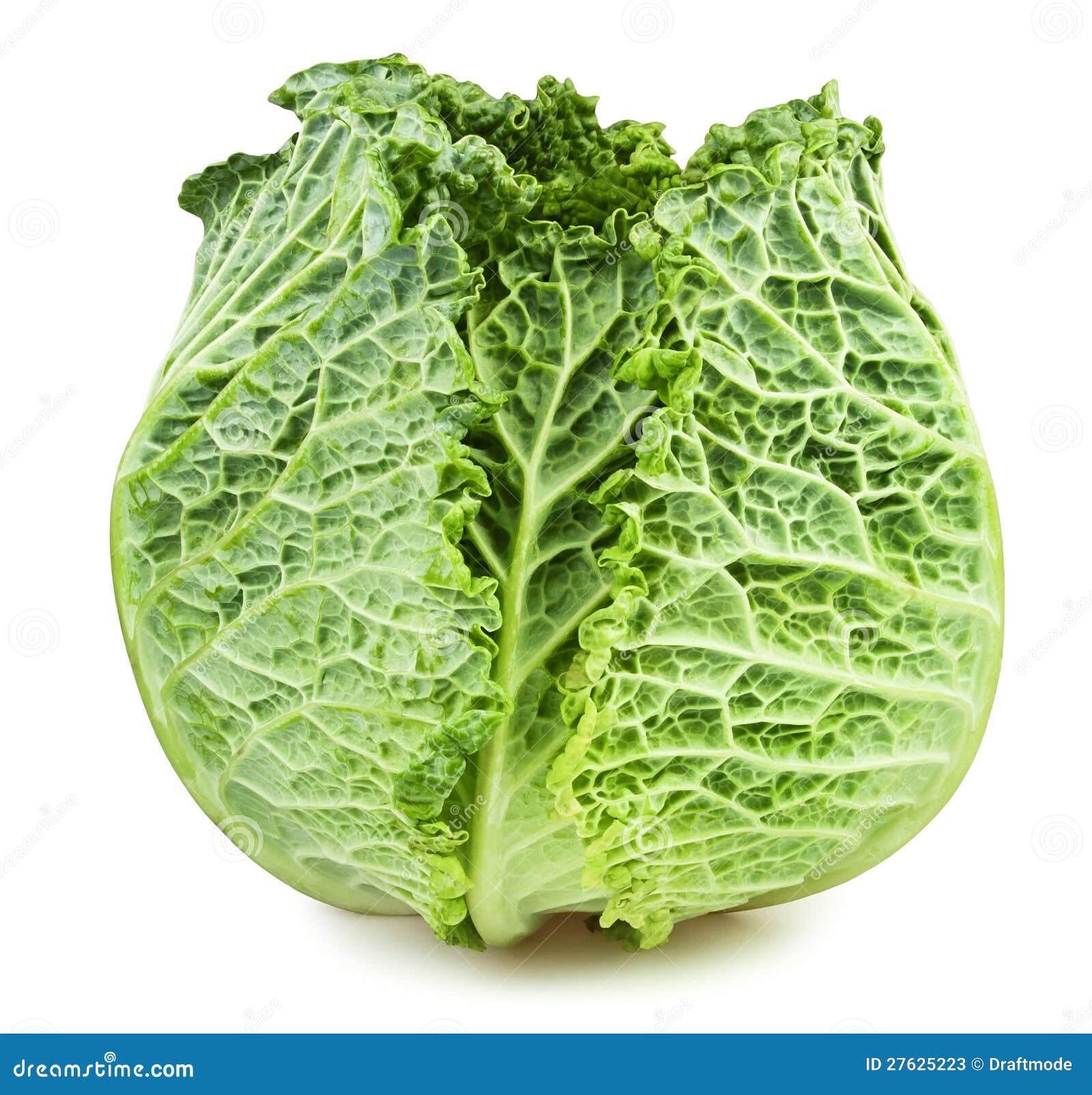 Cabbage side stock image. Image of shadow, cabbage, full - 27625223