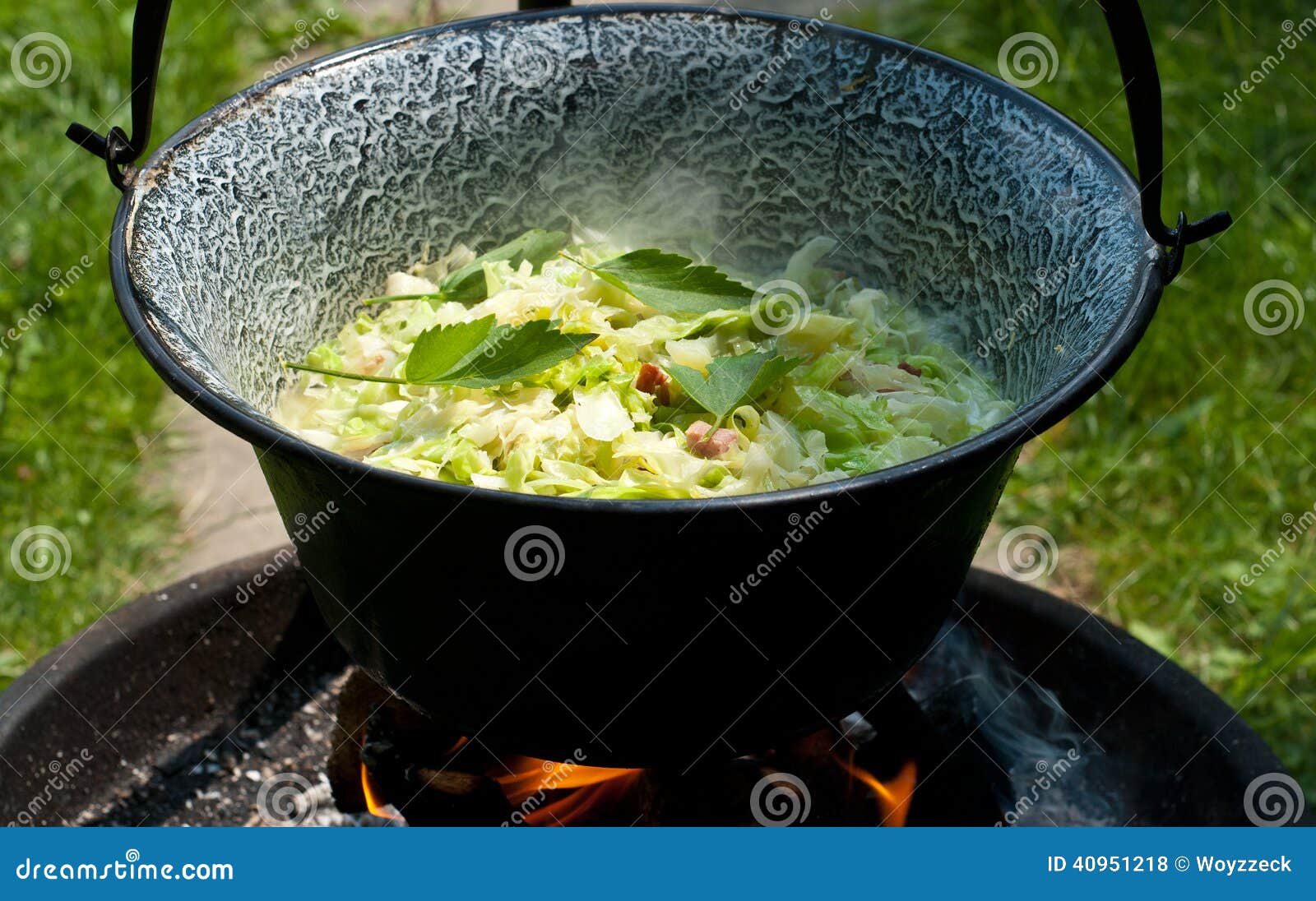 Cabbage stew stock photo. Image of cook, outdoor, cauldron - 40951218