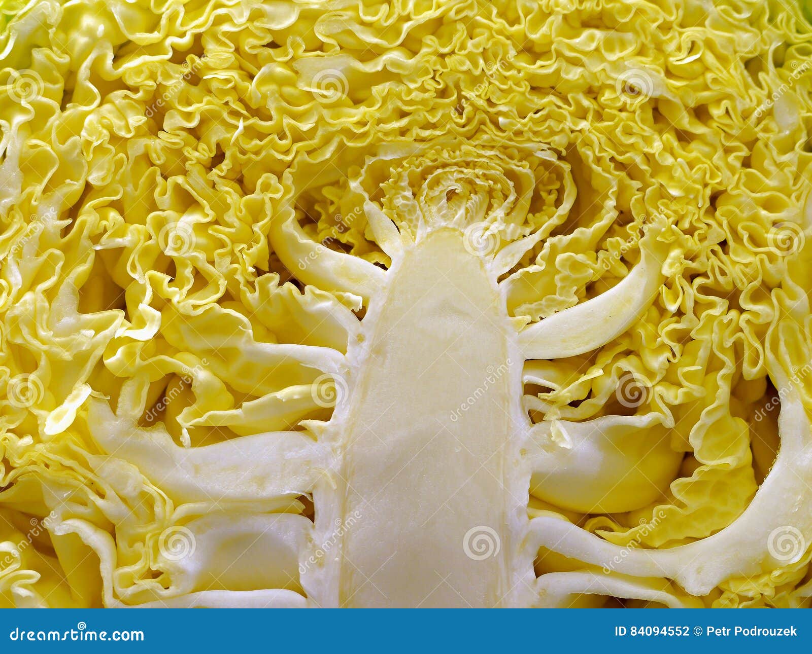 Cabbage structure stock photo. Image of abstract, food - 84094552