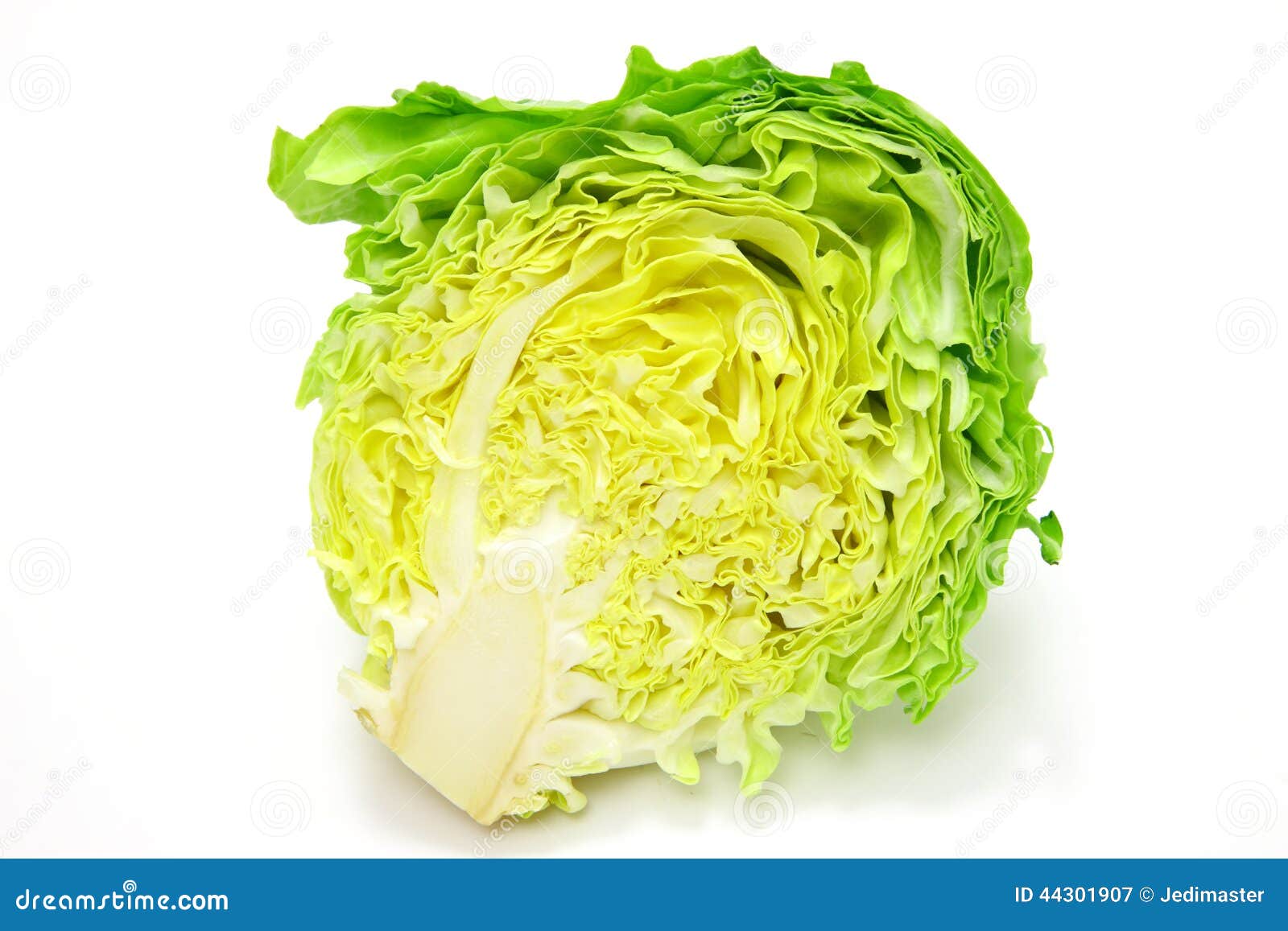 Cabbage stock image. Image of close, habits, vegetable - 44301907