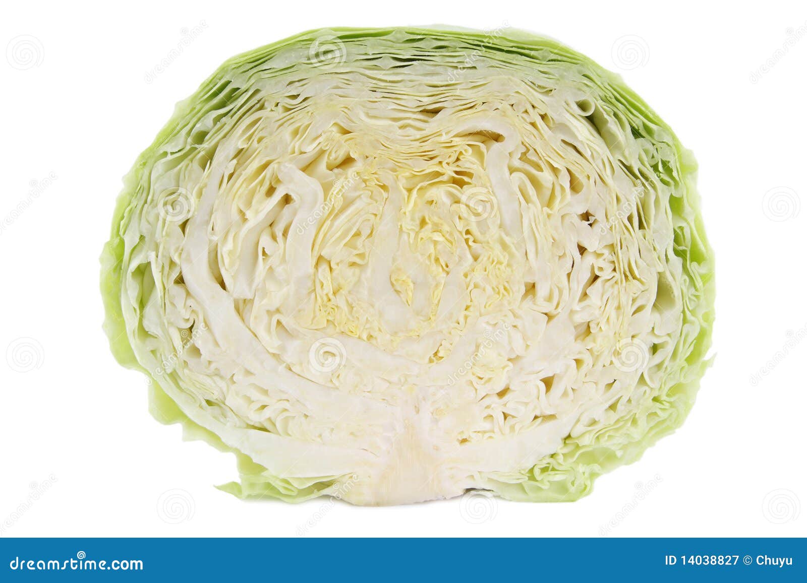 Cabbage texture stock image. Image of eating, detail - 14038827