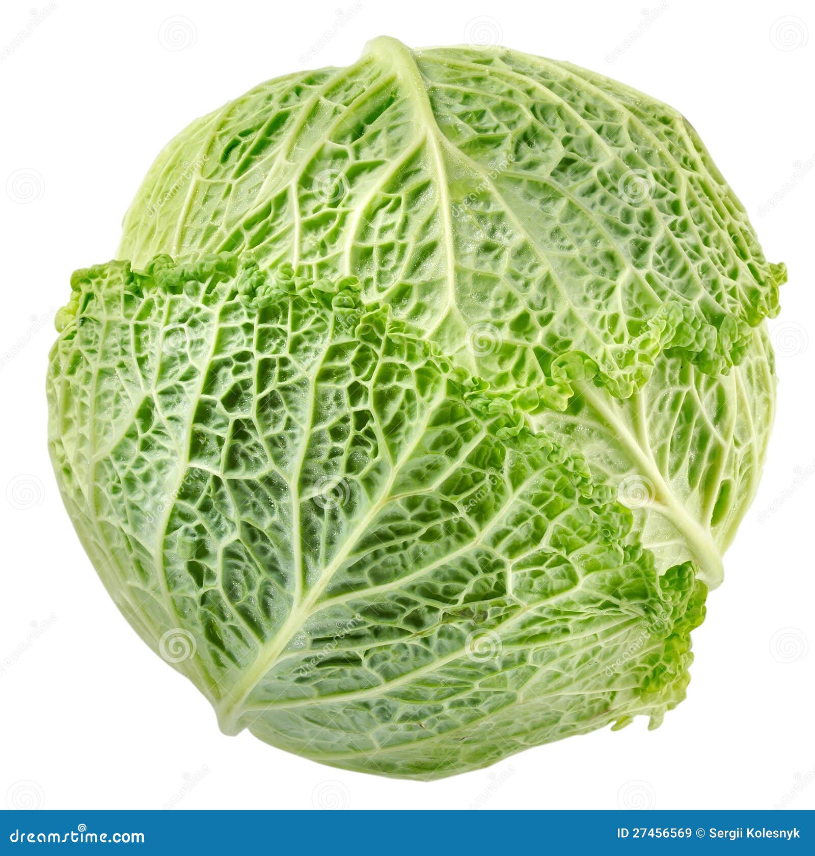 Cabbage top view stock image. Image of white, color, shot - 27456569