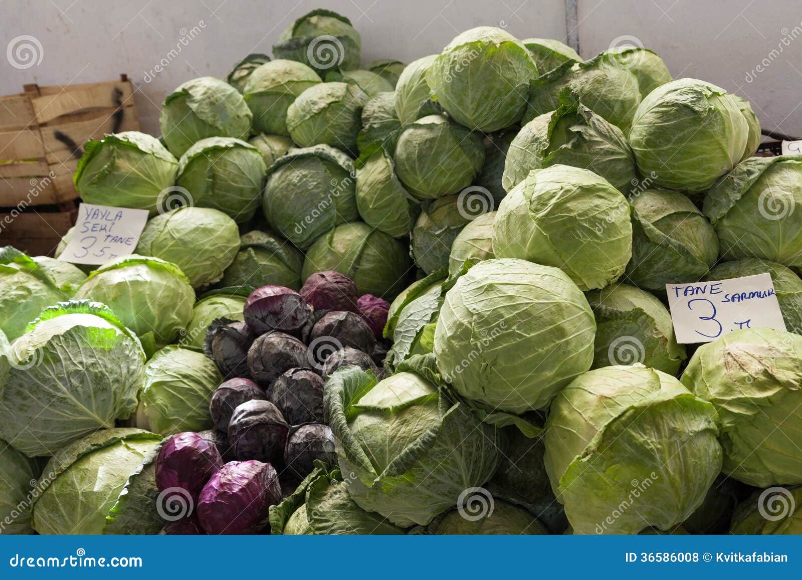 Cabbage in the Turkish Market Stock Photo - Image of cabbage, seasonal ...
