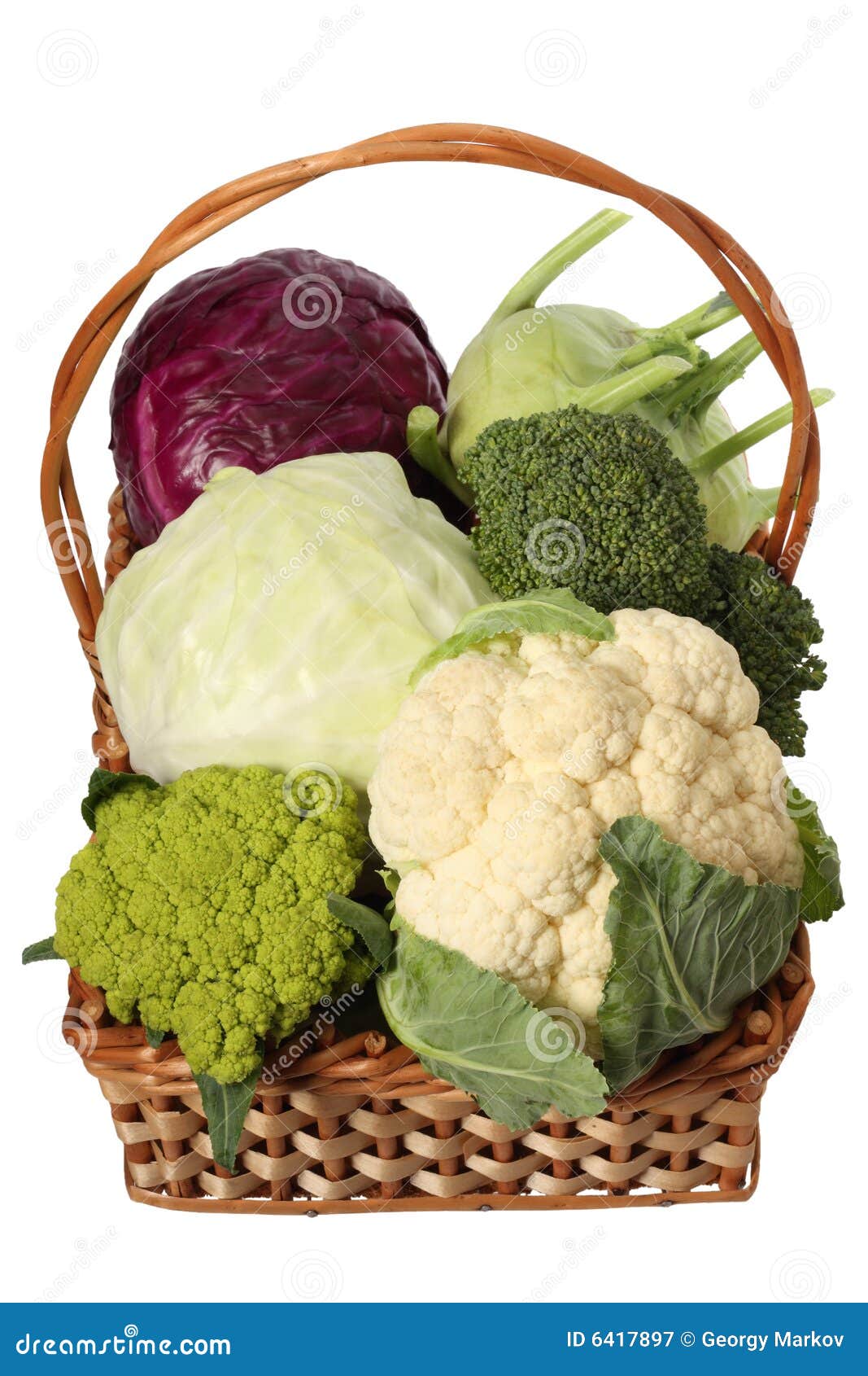 Cabbage varieties stock image. Image of brassica, healthy - 6417897