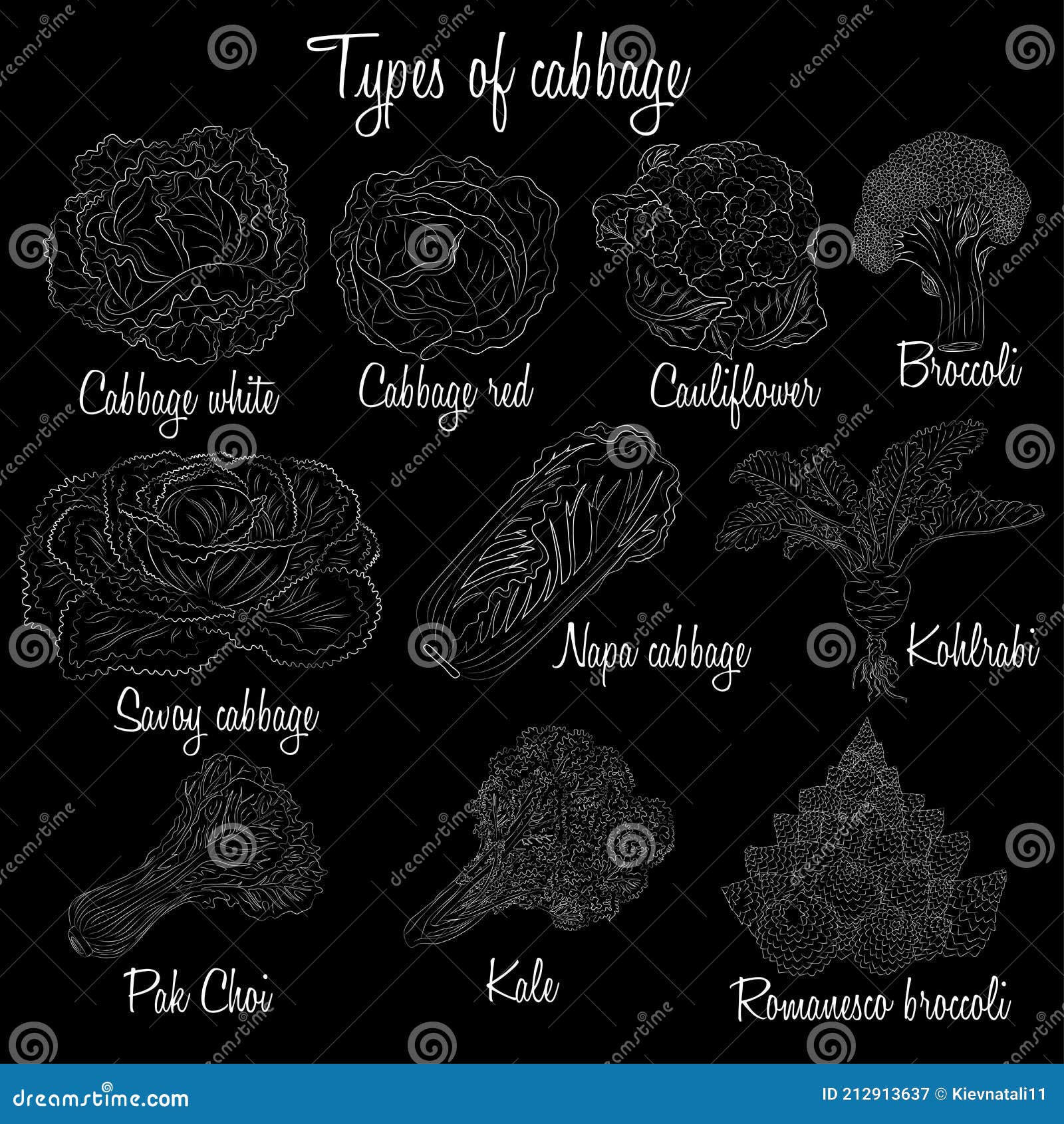 Varieties Of Root System. Black Silhouette Of Taproot And Fibrous ...