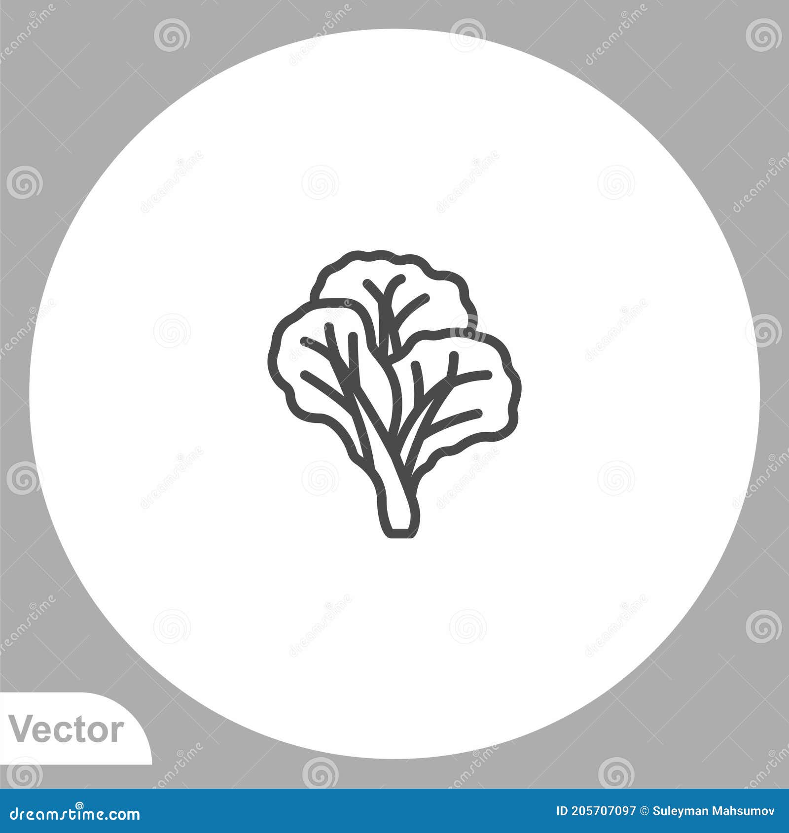 Cabbage Vector Icon Sign Symbol Stock Vector - Illustration of isolated ...