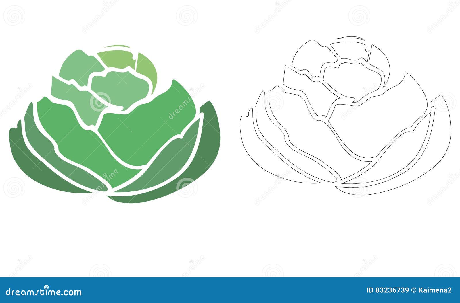 Cabbage. Vector Drawing | CartoonDealer.com #116114520