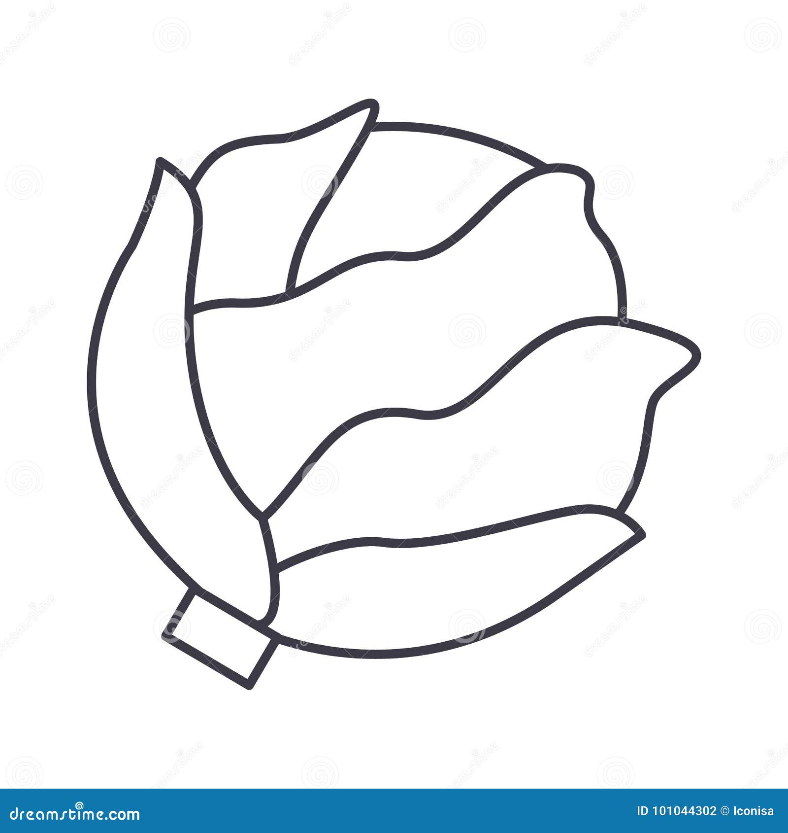 Cabbage Vector Line Icon, Sign, Illustration on Background, Editable ...
