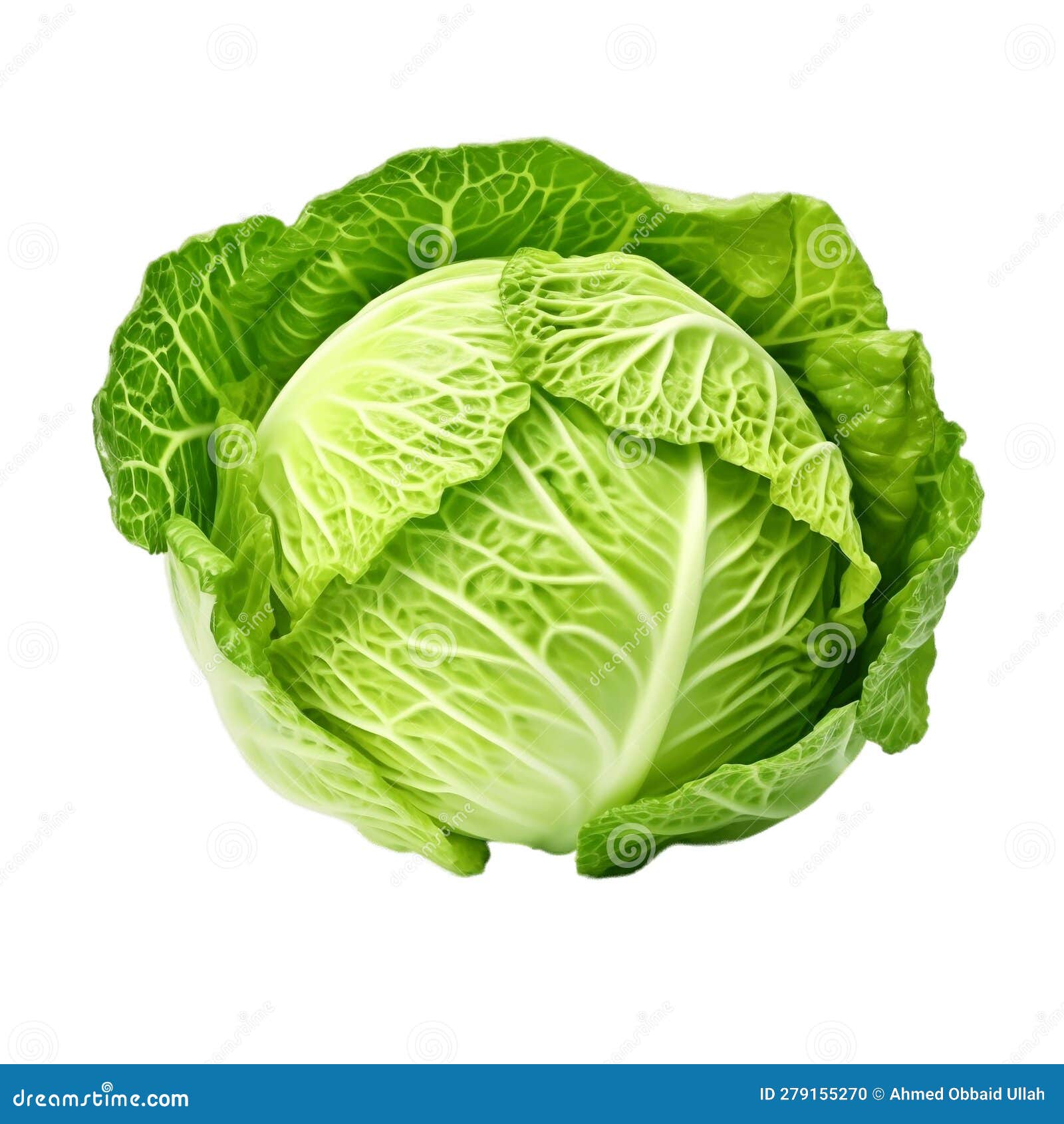 Cabbage Vegetable Ingredient Isolated on a Transparent Background ...