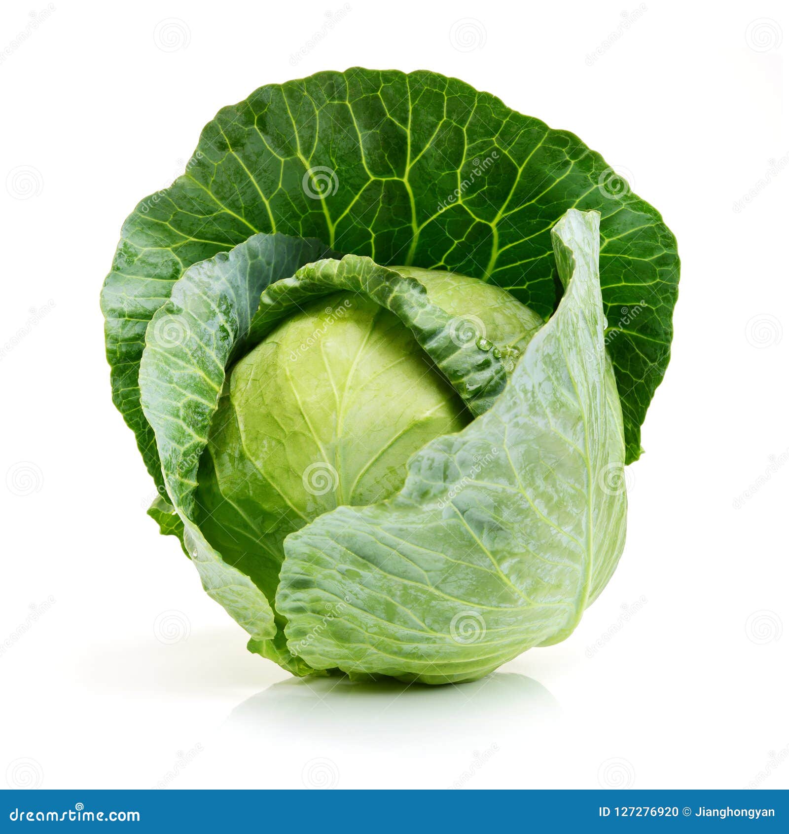 Fresh Cabbage Vegetable with Leafs Stock Photo - Image of cabbages ...